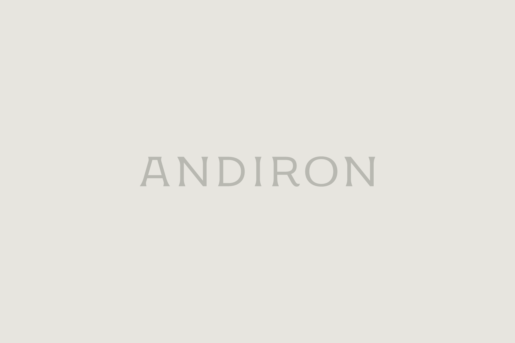 Andiron - brand identity, guideline and assets.