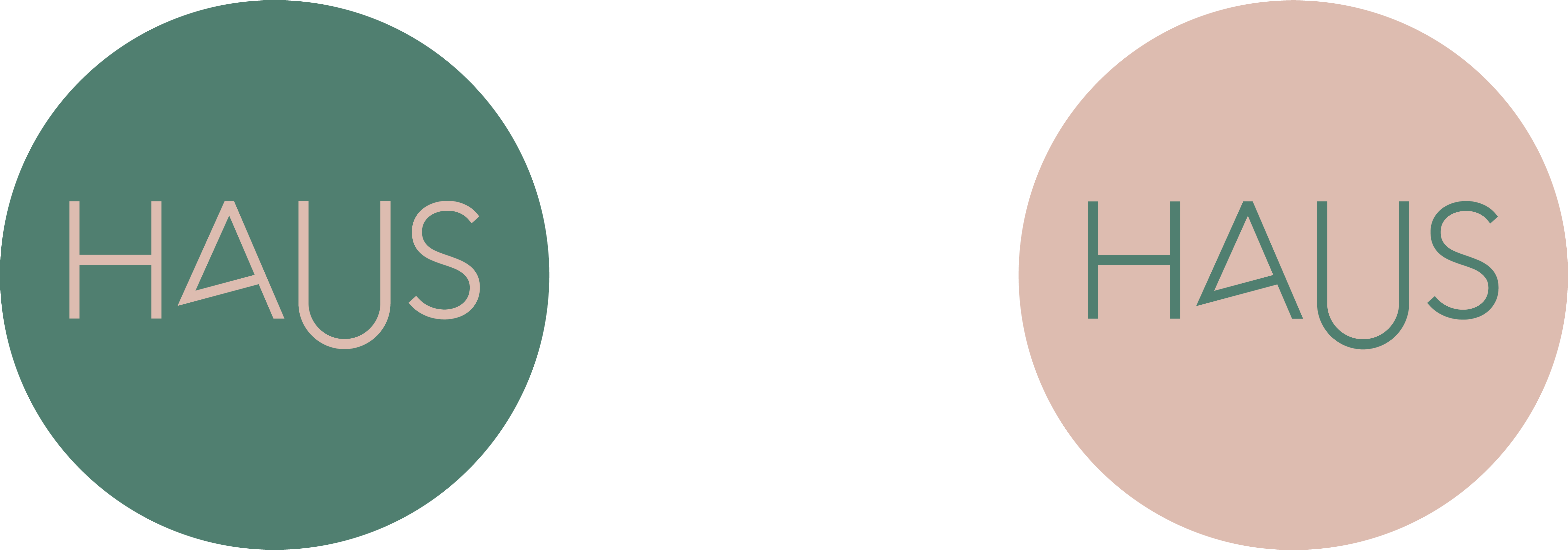 Haus - brand identity, guideline and assets.