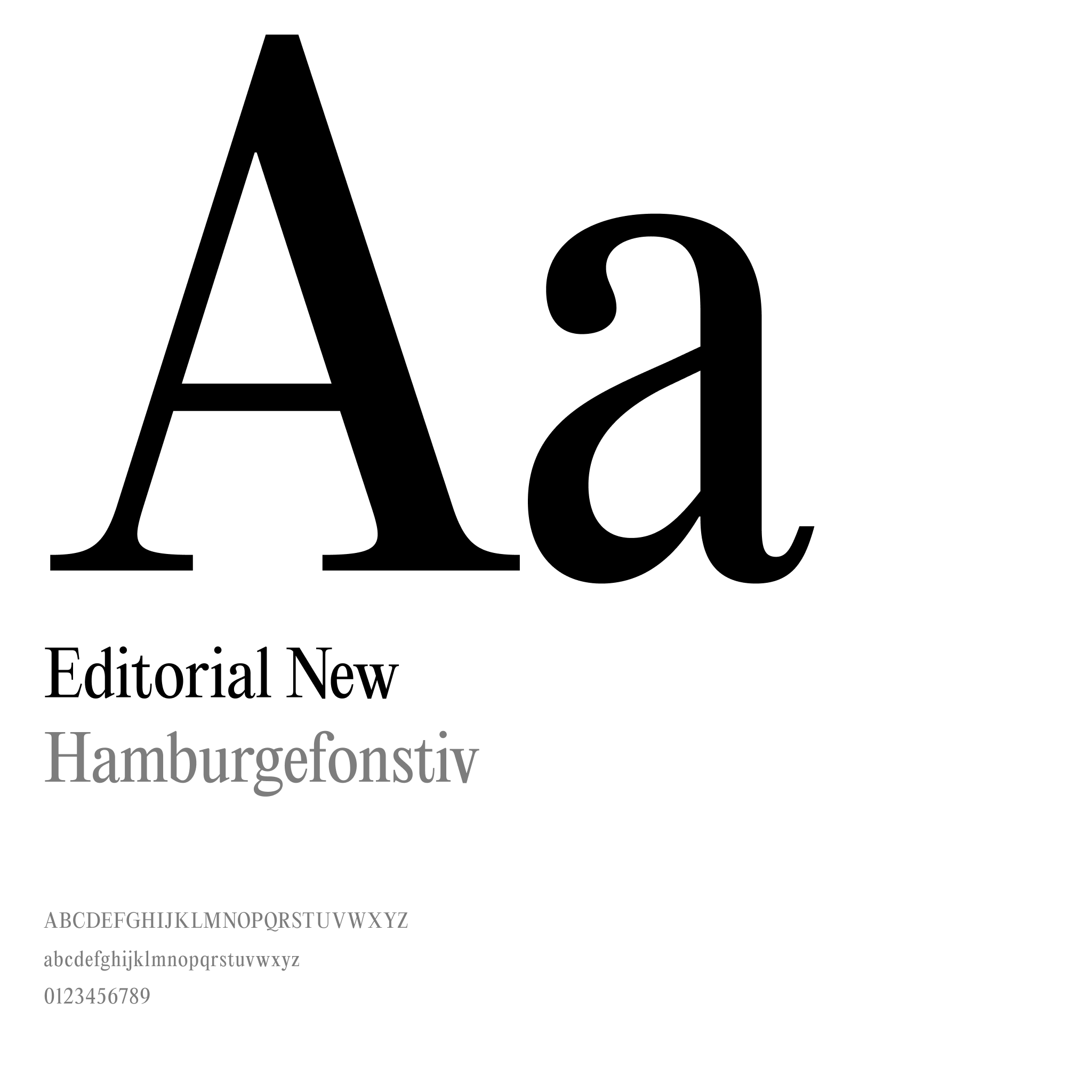 02 - Brand Elements - brand identity, guideline and assets.