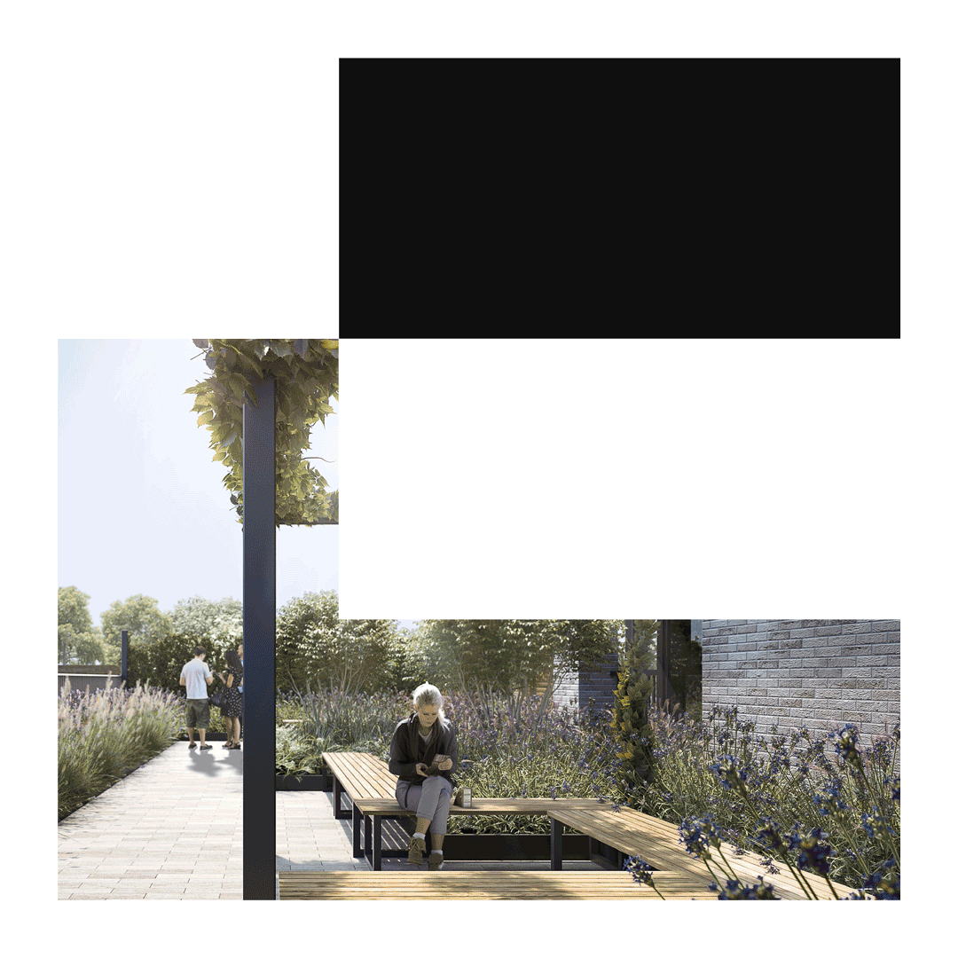 CERT - brand identity, guideline and assets.