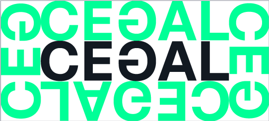 Cegal external - brand identity, guideline and assets.