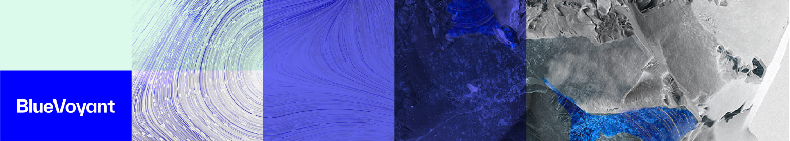 BlueVoyant Style Guide & Design System