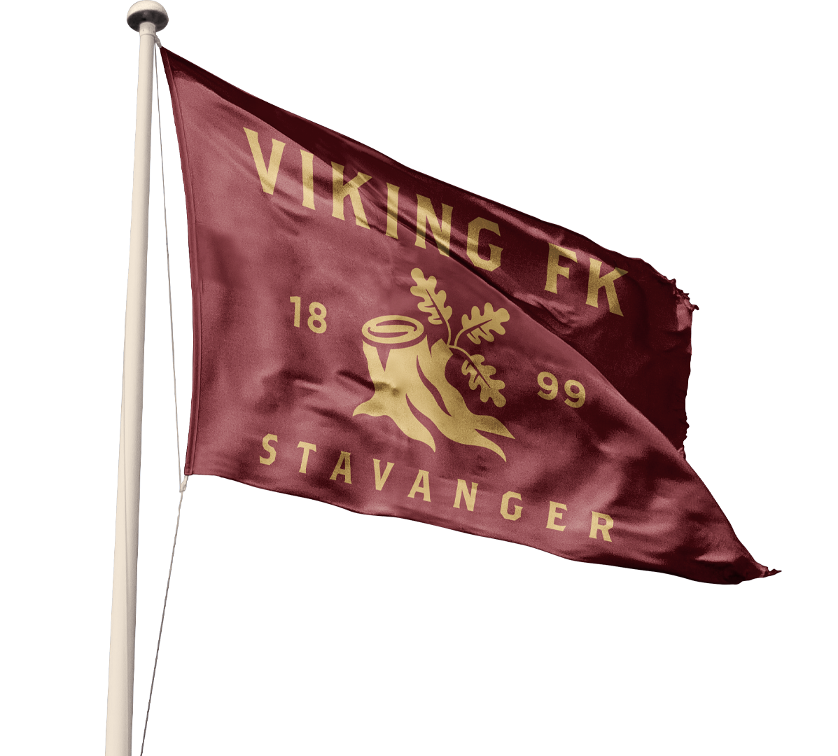 Viking Brand Guidelines - brand identity, guideline and assets.