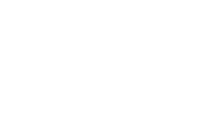 Dagmar - brand identity, guideline and assets.