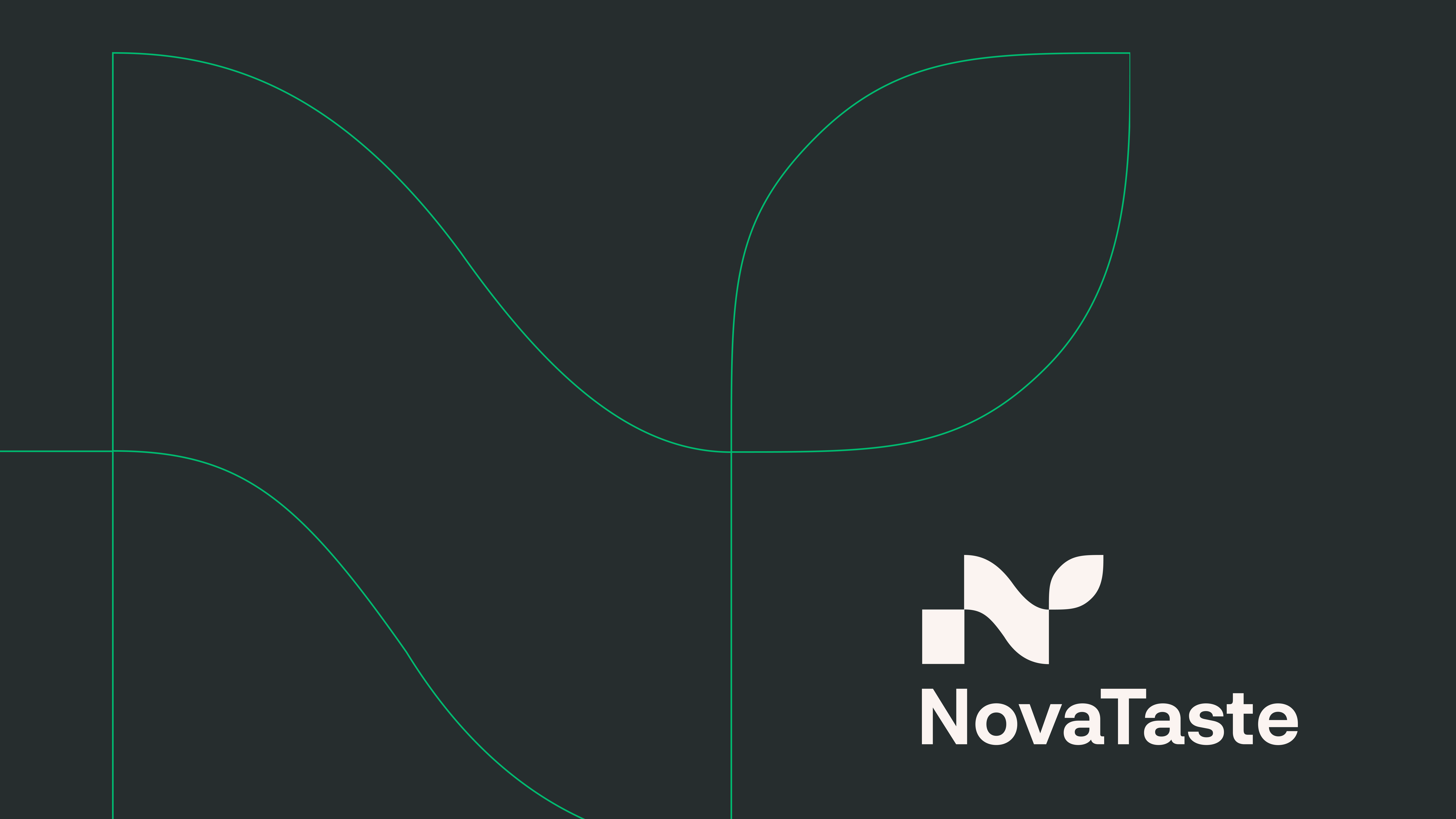 NovaTaste Brand Guidelines