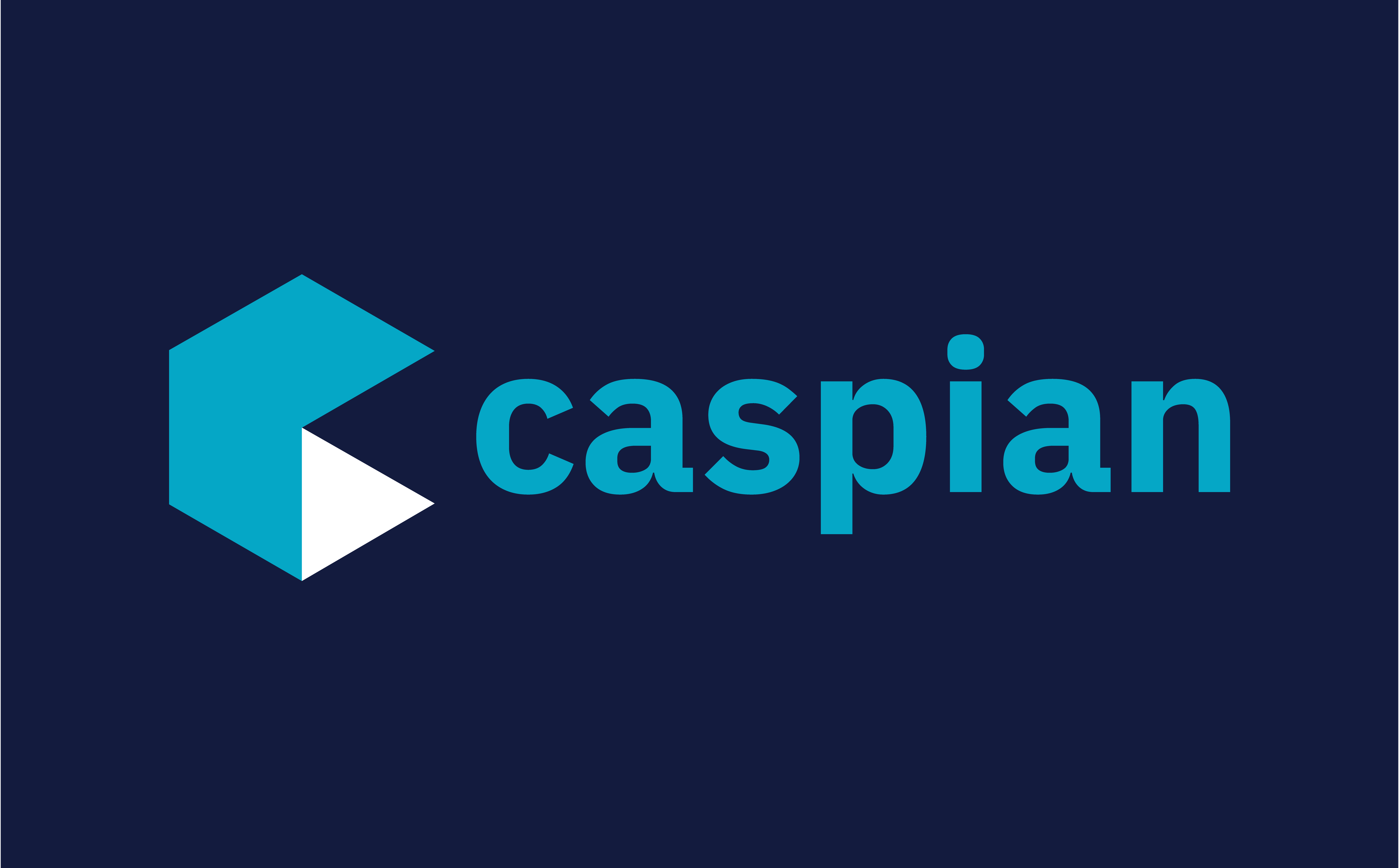 Caspian - brand identity, guideline and assets.