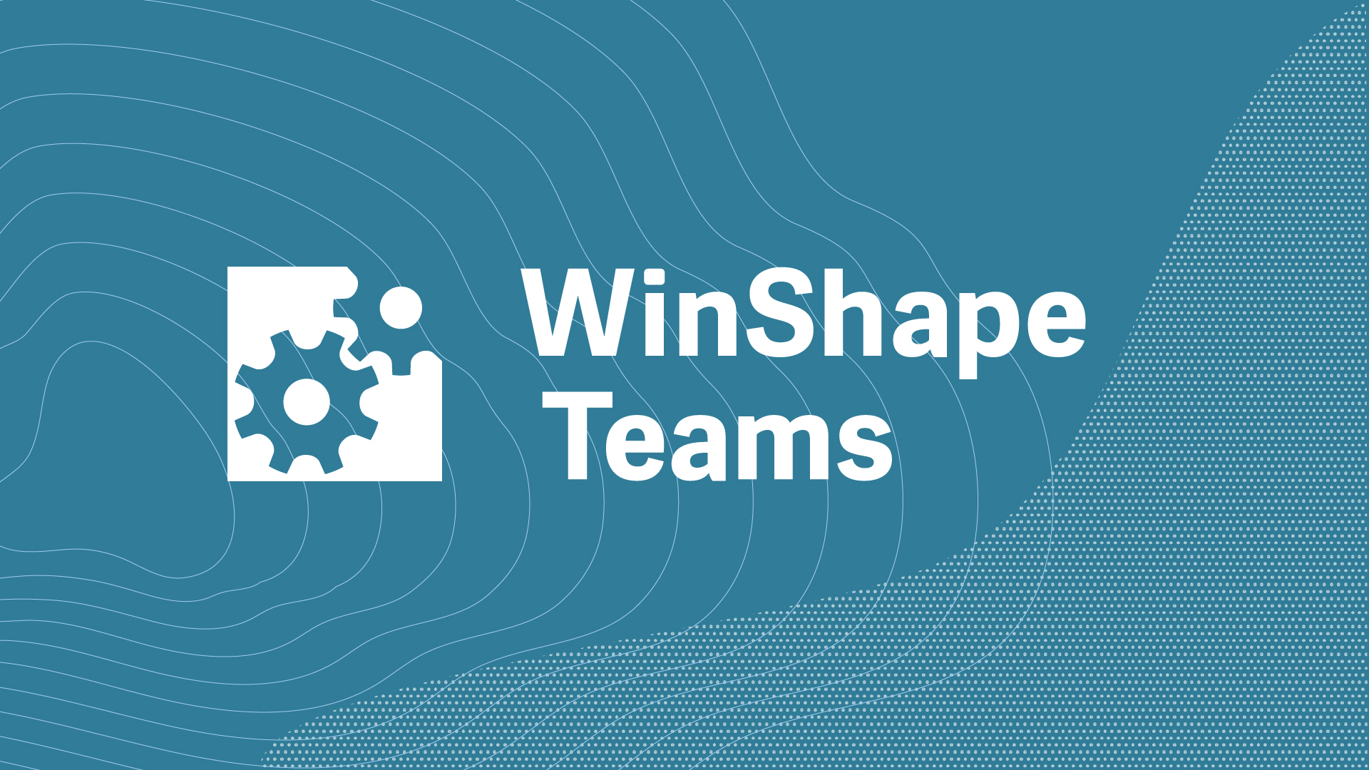 WinShape Teams - brand identity, guideline and assets.