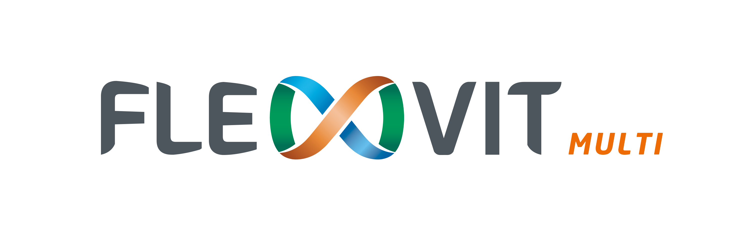 Flexvit Brand Intro - brand identity, guideline and assets.