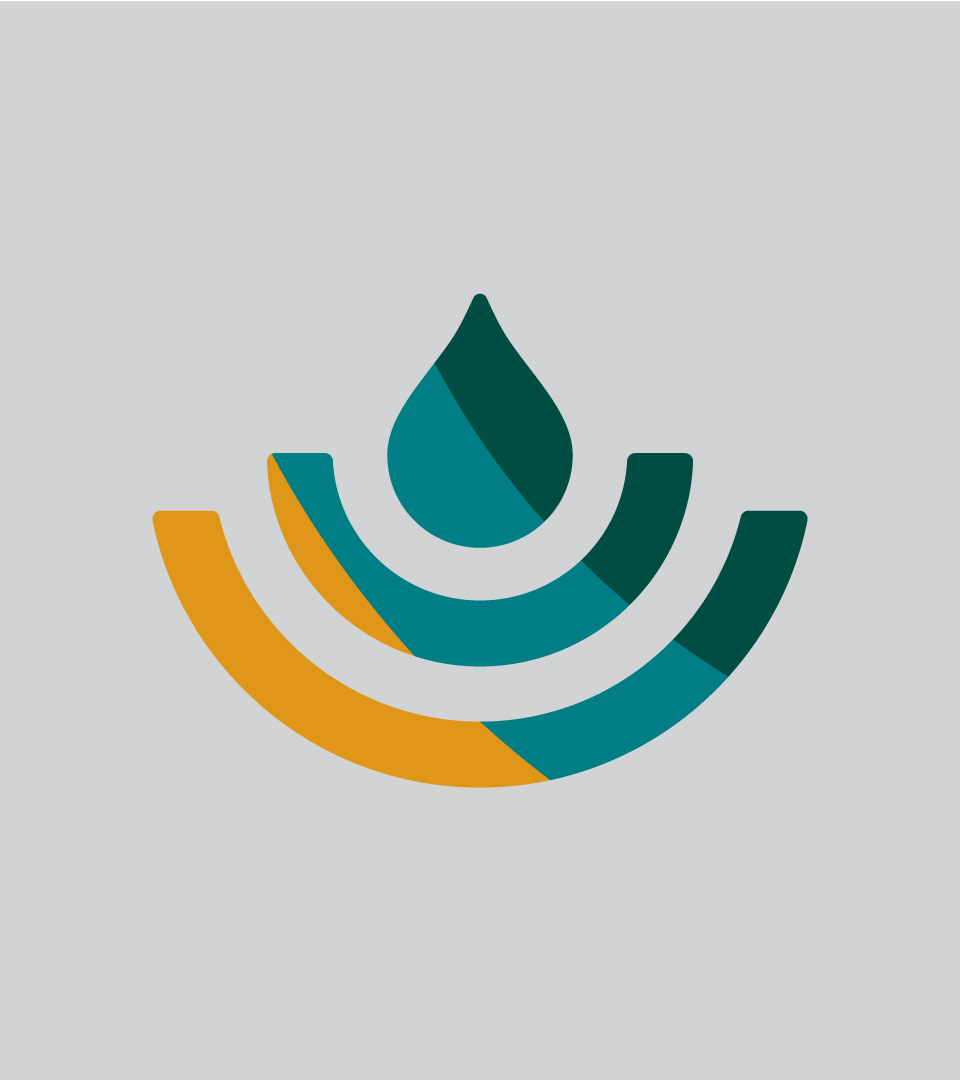 WinShape College Program - brand identity, guideline and assets.