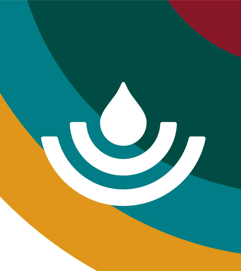 WinShape College Program - brand identity, guideline and assets.