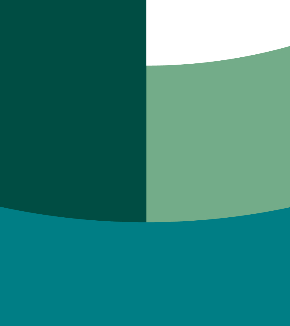 WinShape College Program - brand identity, guideline and assets.