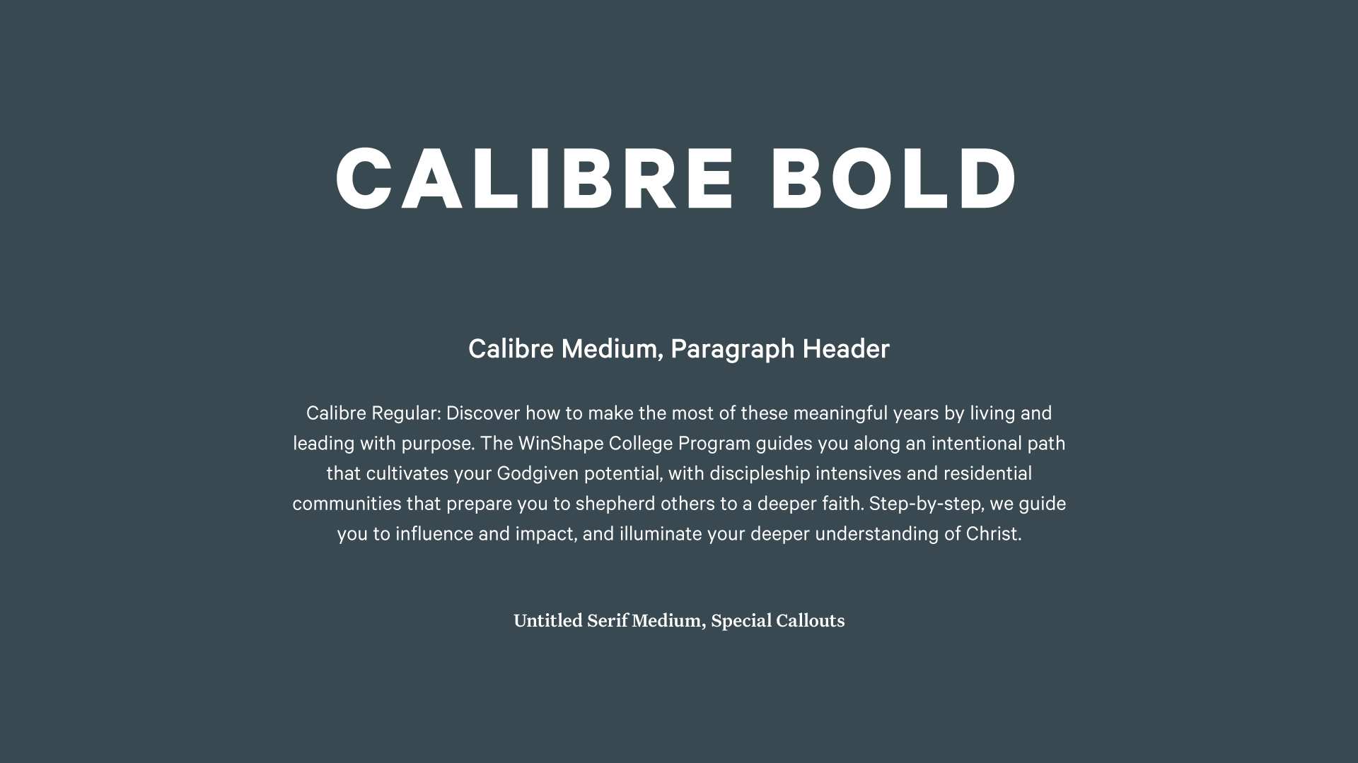 WinShape College Program - brand identity, guideline and assets.