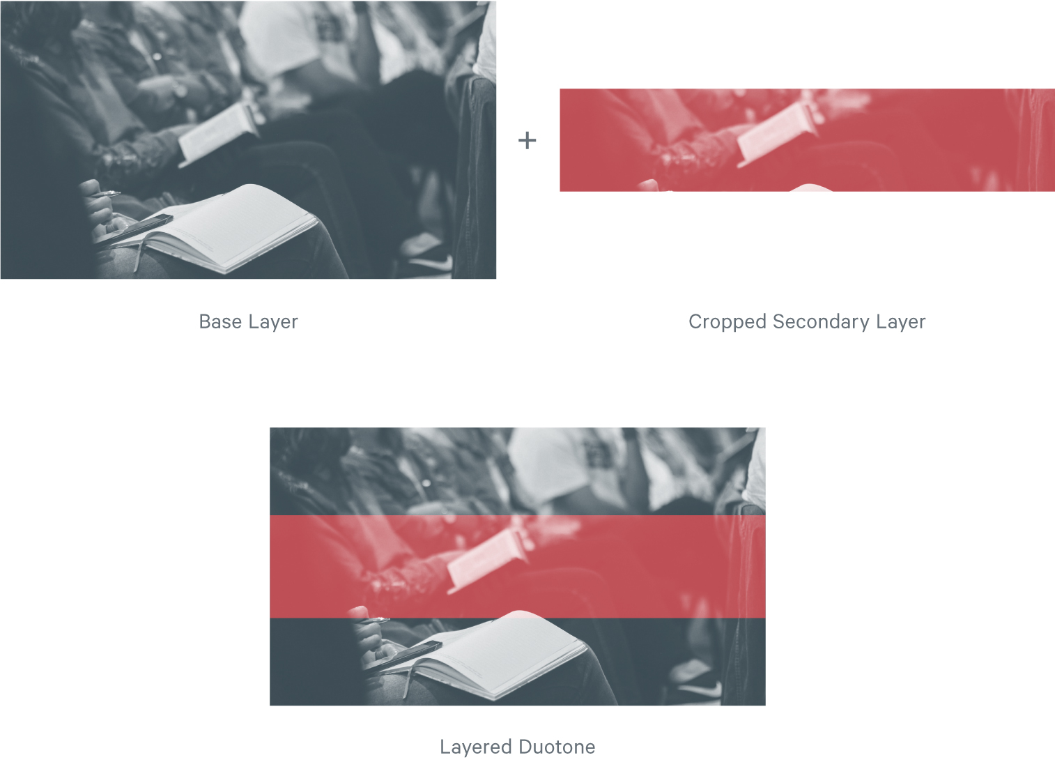 WinShape College Program - brand identity, guideline and assets.