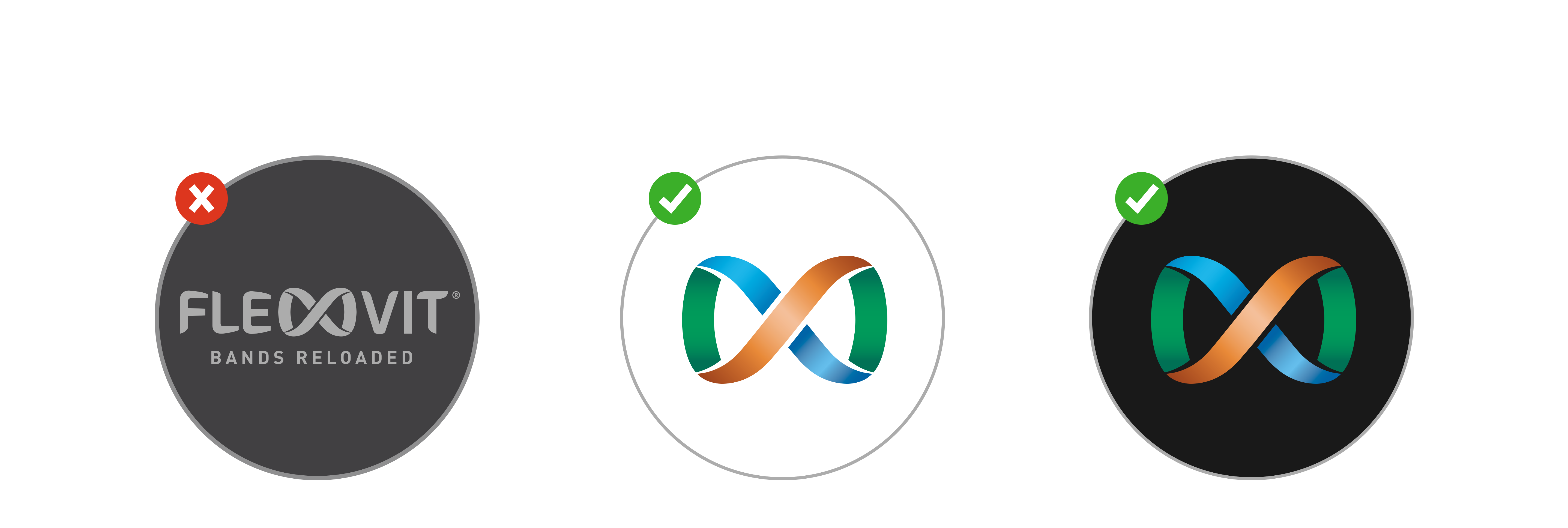 Flexvit Brand Intro - brand identity, guideline and assets.