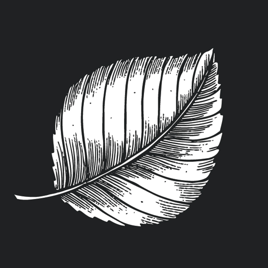 Rumbling Bald - brand identity, guideline and assets.