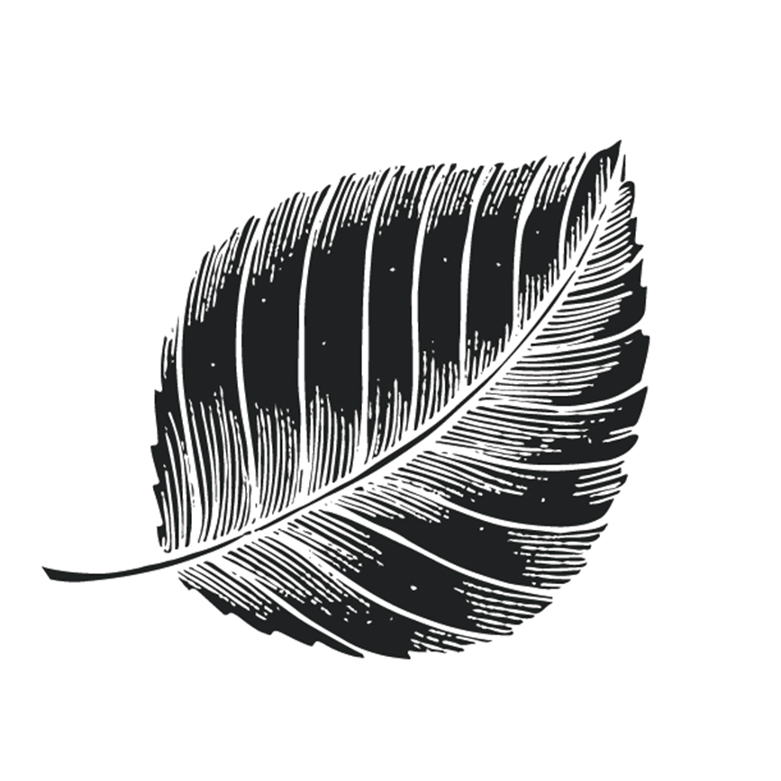 Rumbling Bald - brand identity, guideline and assets.