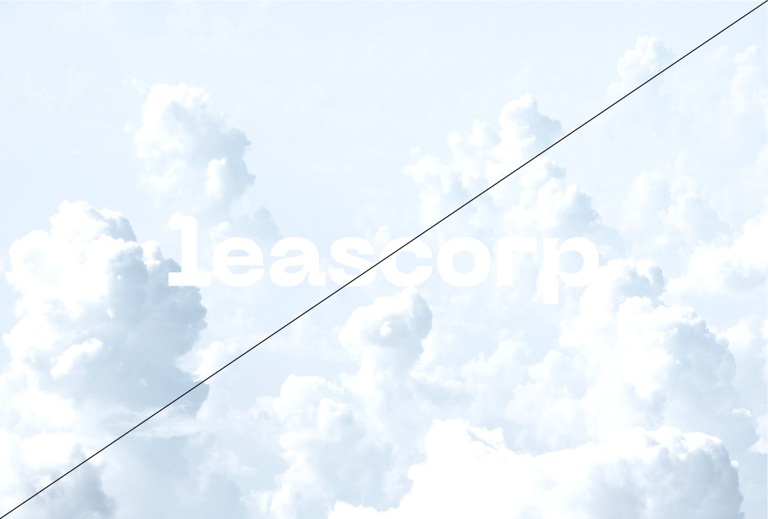 leascorp - brand identity, guideline and assets.