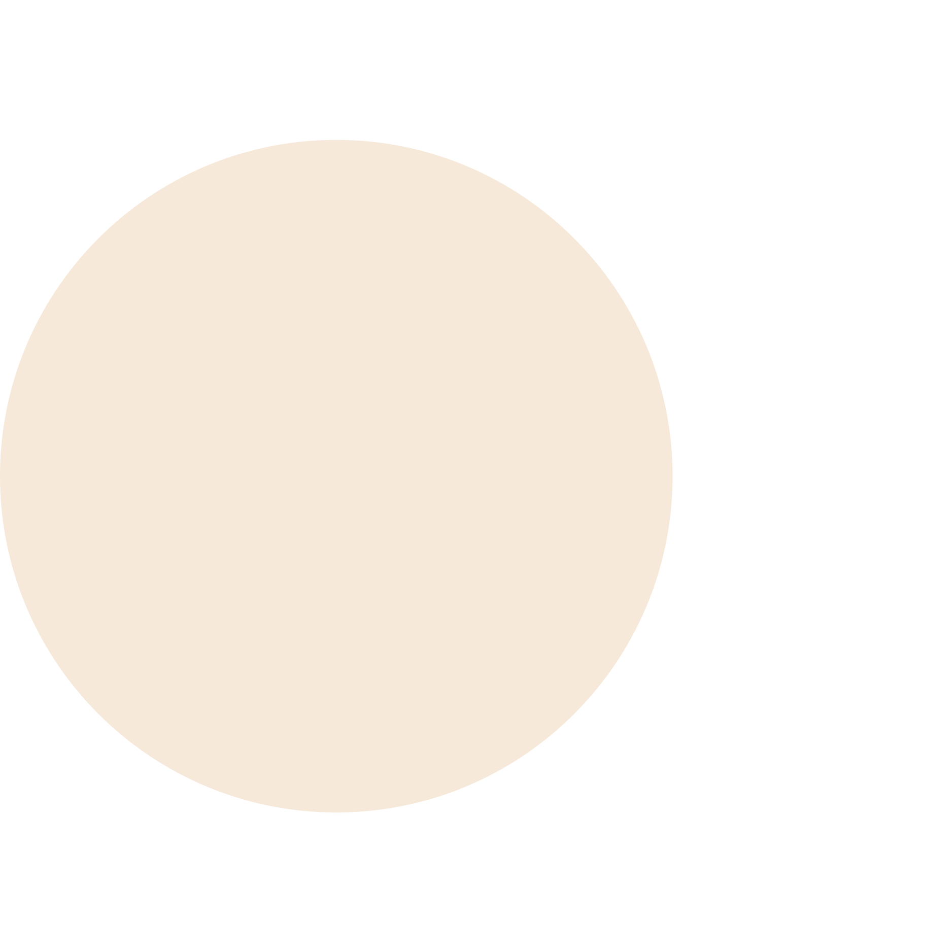 Narrative 4 - brand identity, guideline and assets.