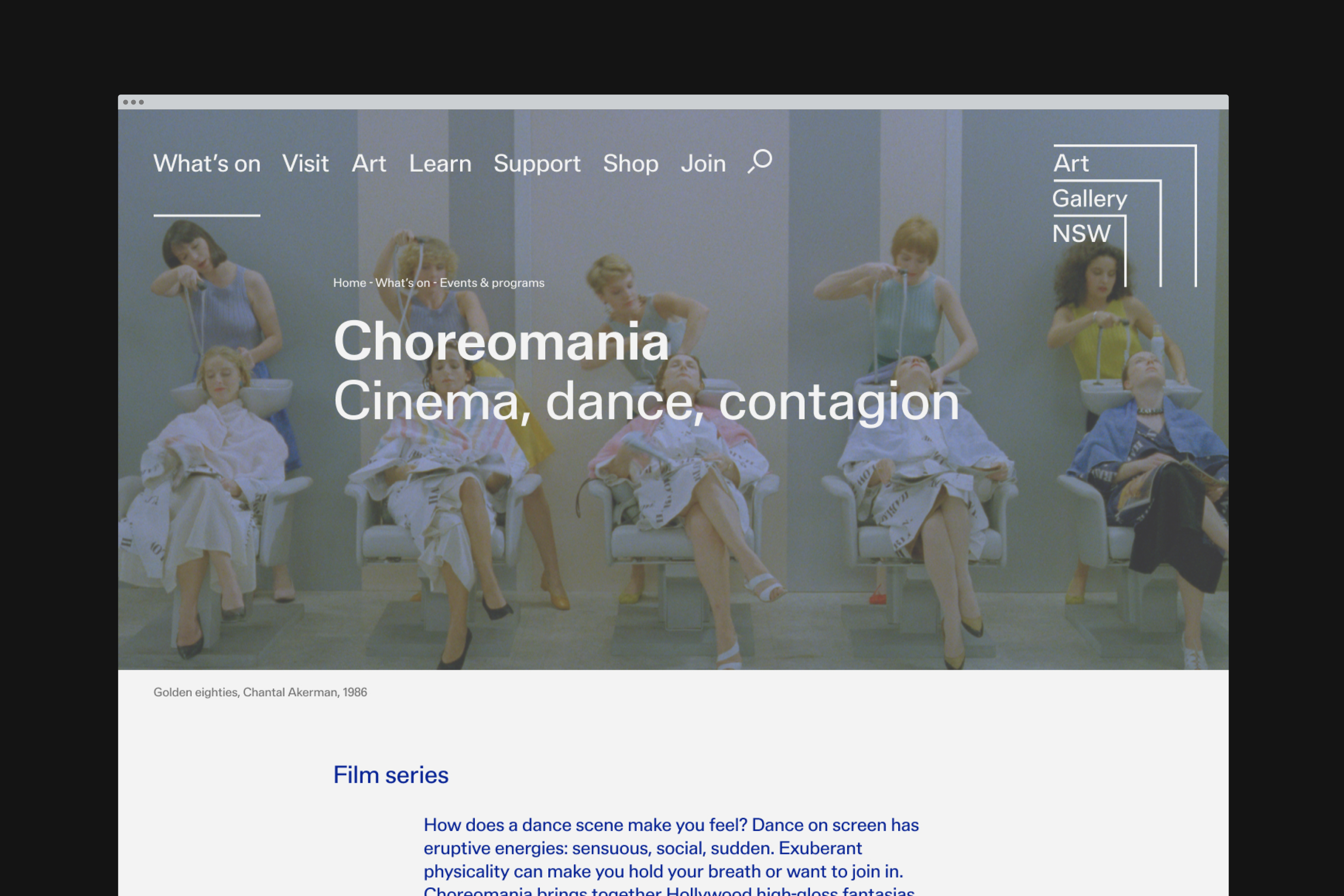 AGNSW_2021 - brand identity, guideline and assets.