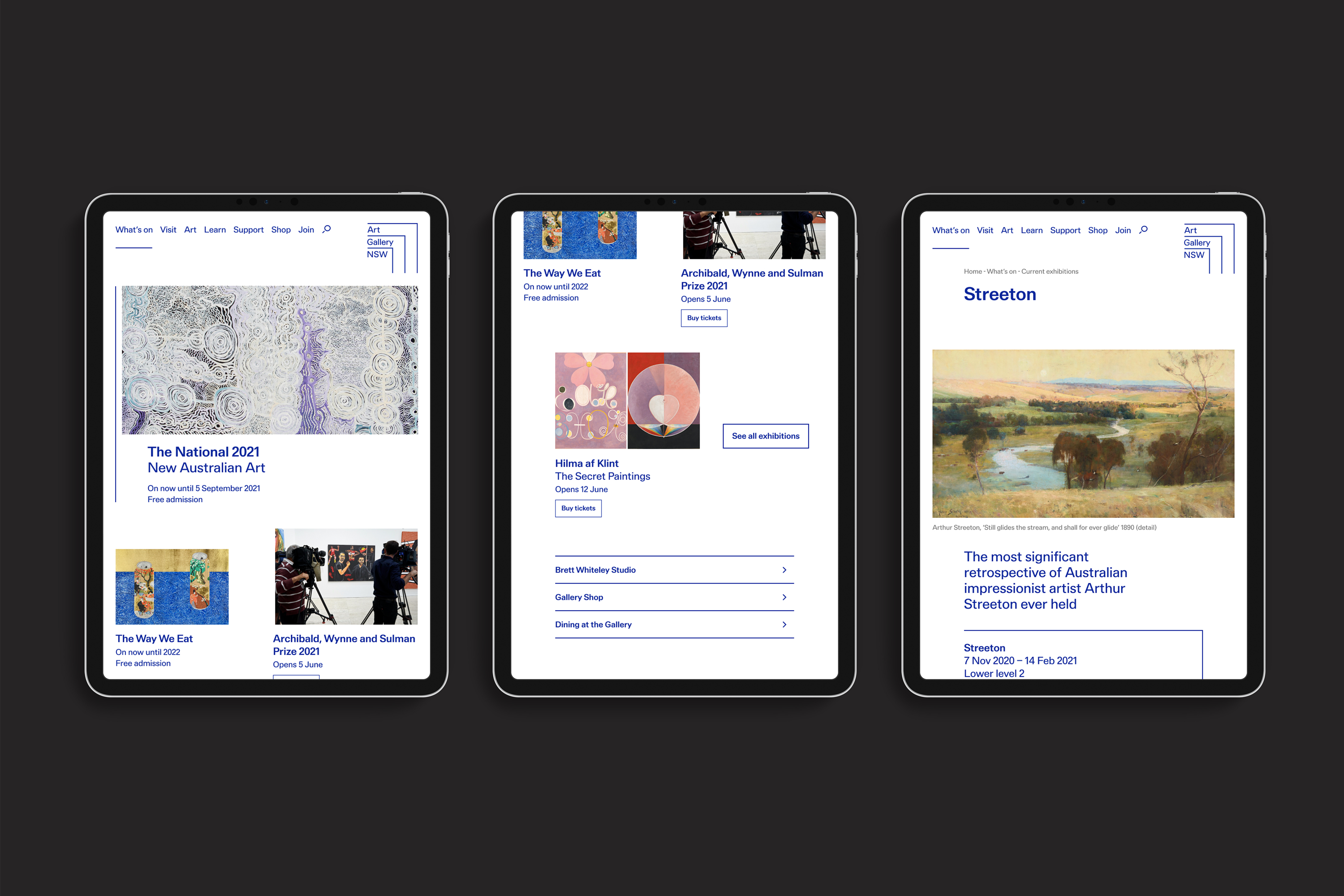 AGNSW_2021 - brand identity, guideline and assets.