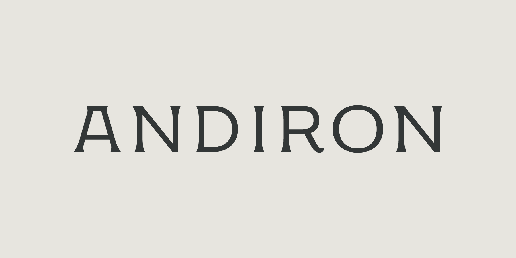 Andiron - brand identity, guideline and assets.