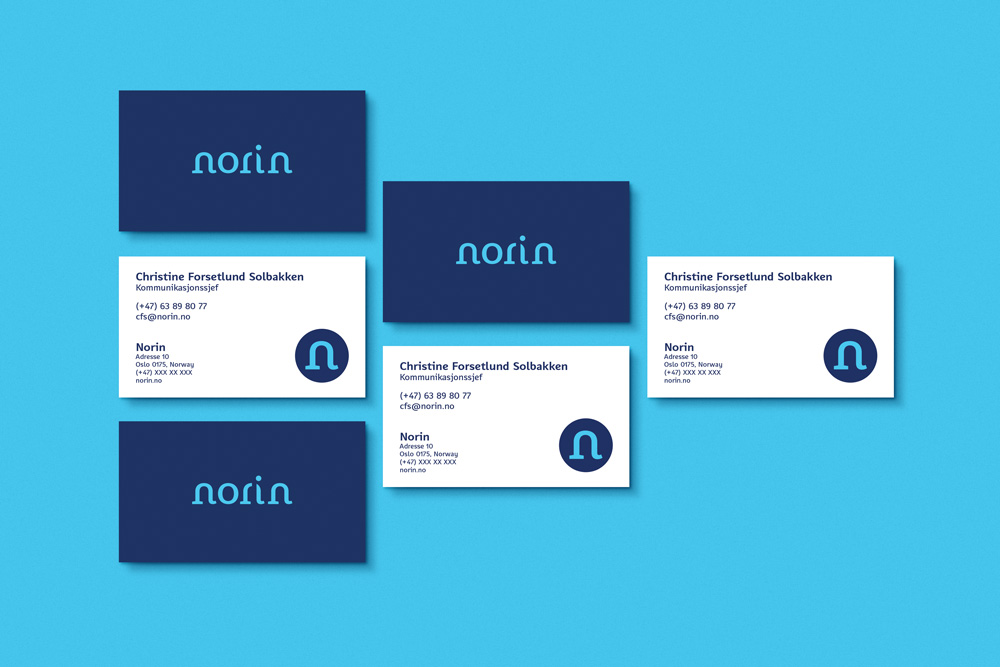 Norin - brand identity, guideline and assets.
