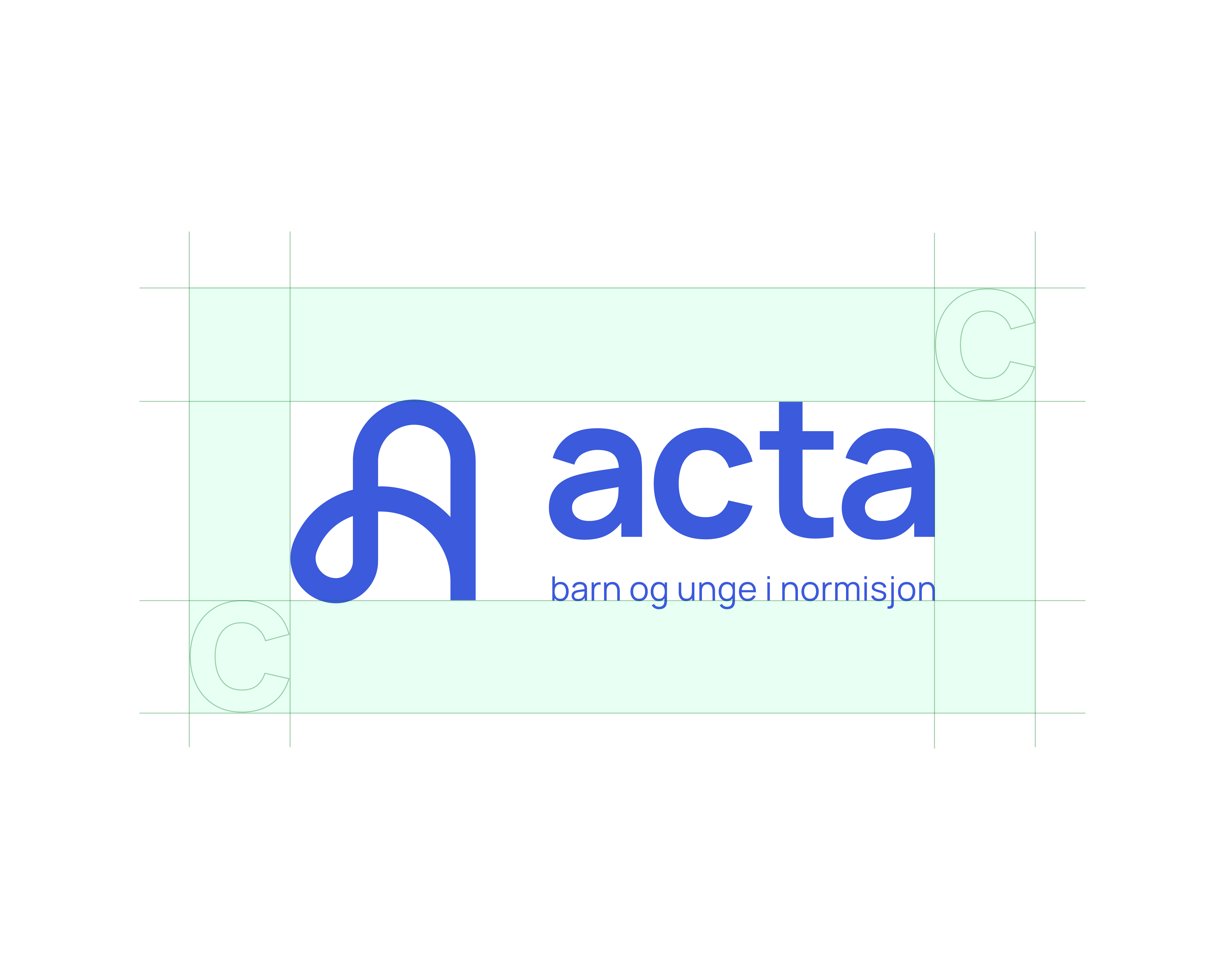 Acta - brand identity, guideline and assets.