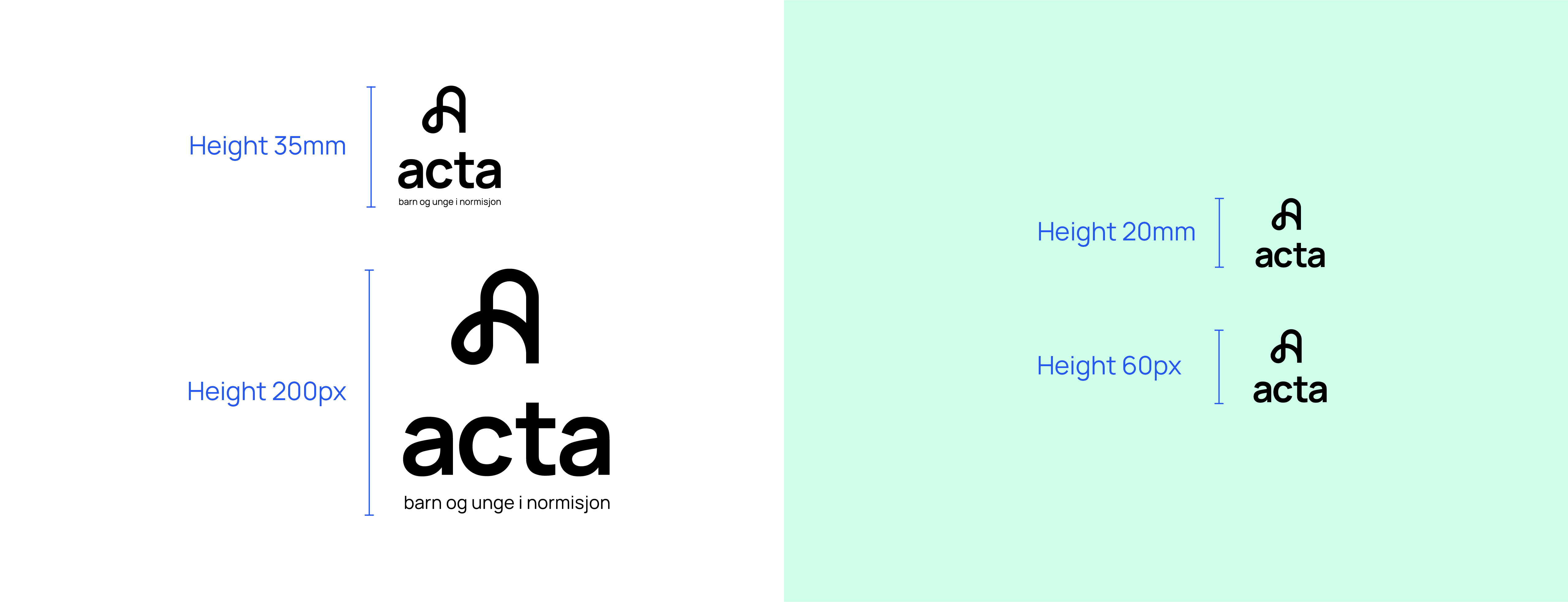 Acta - brand identity, guideline and assets.