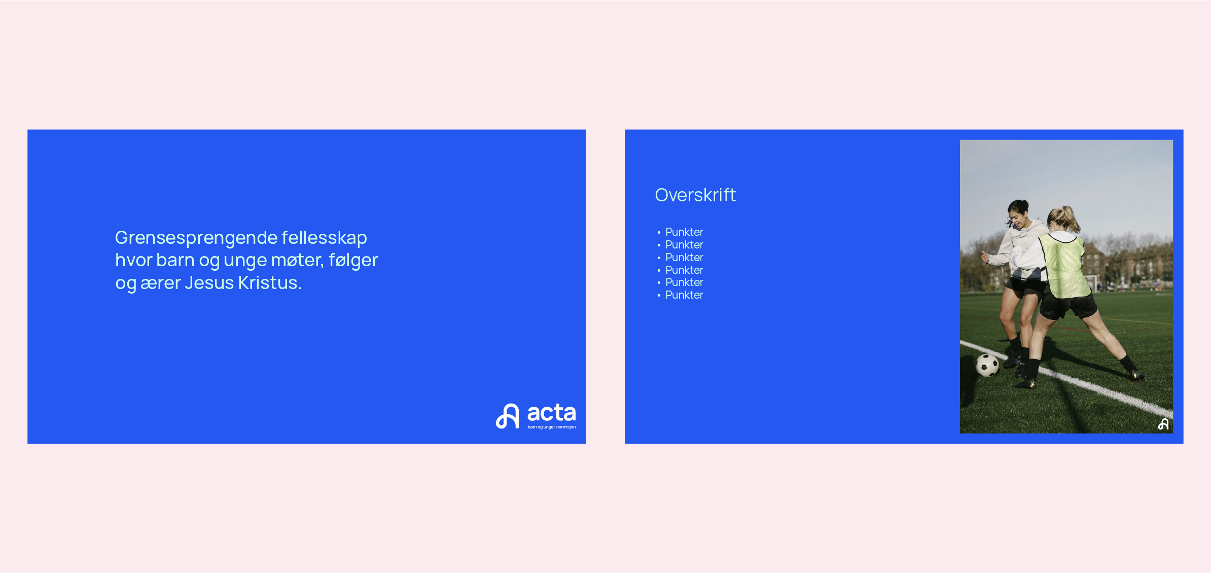 Acta - brand identity, guideline and assets.