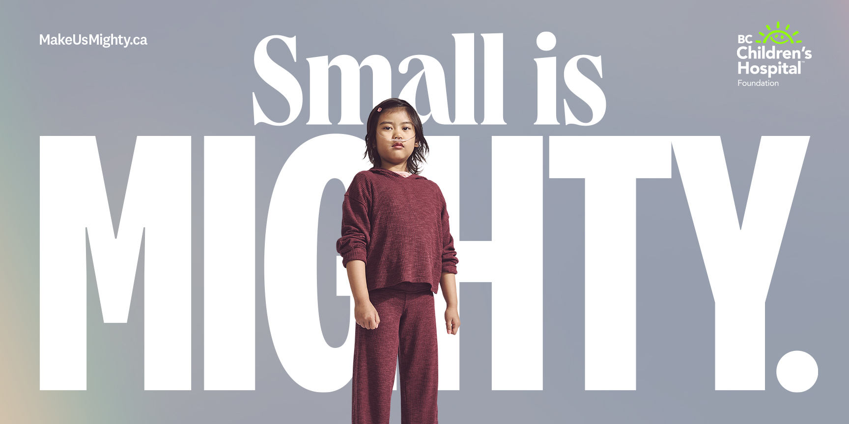 BCCHF - brand identity, guideline and assets.