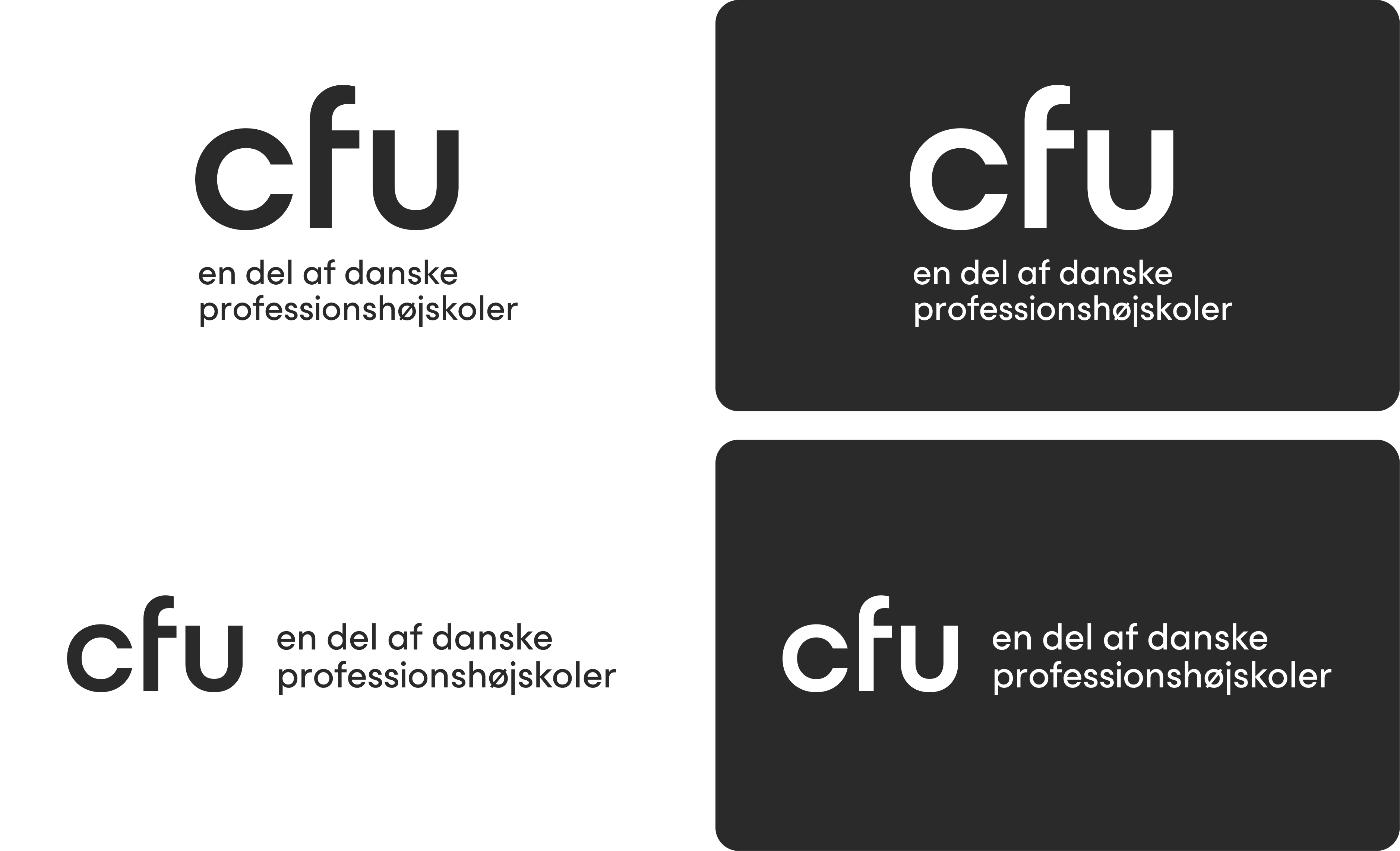 CFU - brand identity, guideline and assets.