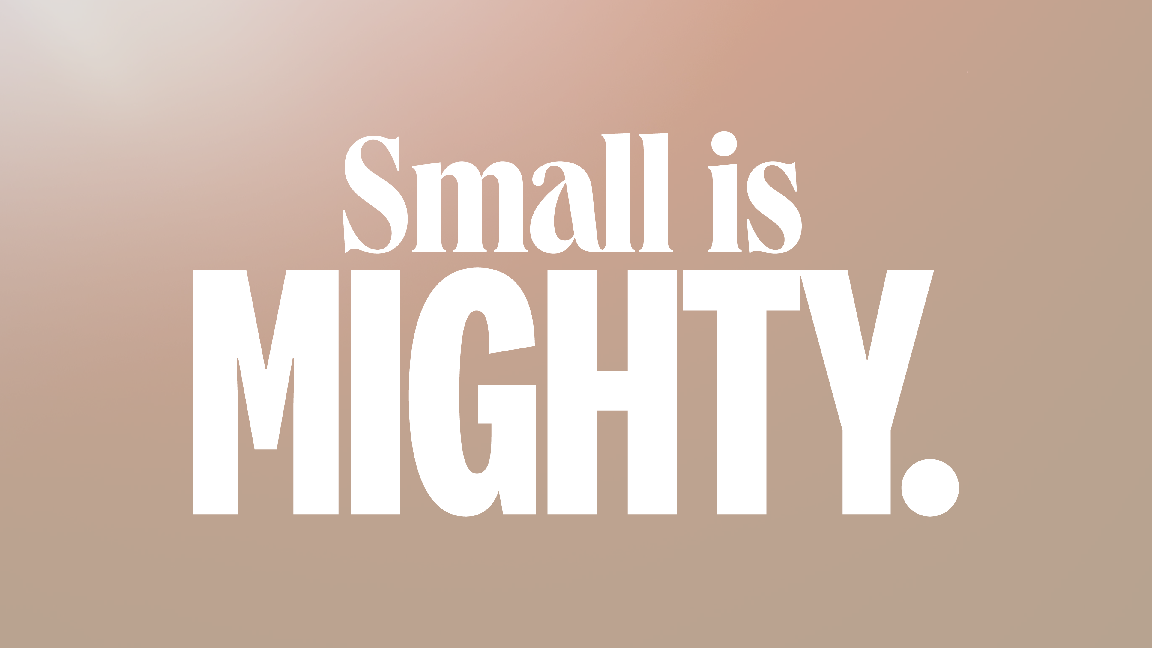 BCCHF - brand identity, guideline and assets.