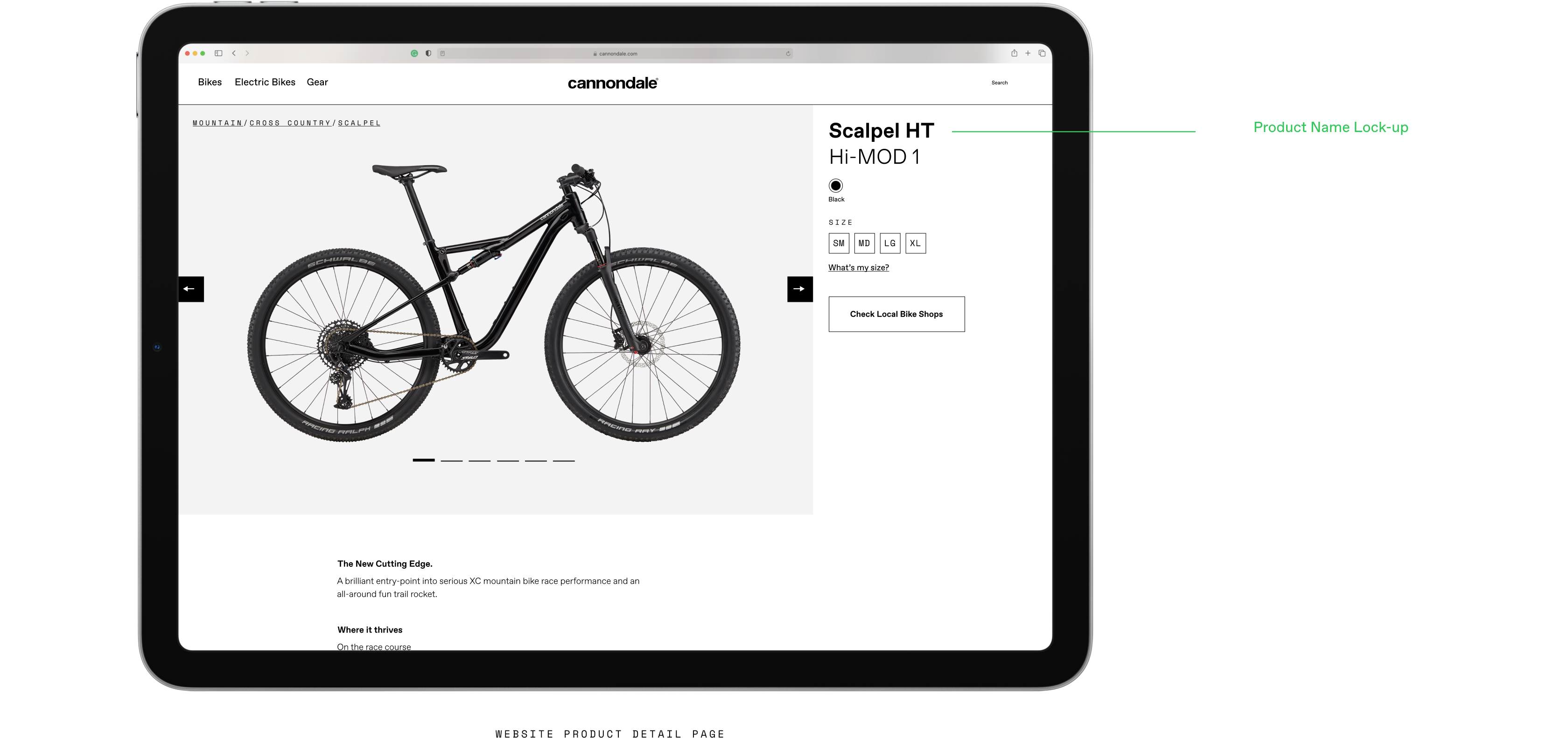 Cannondale Bike Frame Size Chart - Infoupdate.org