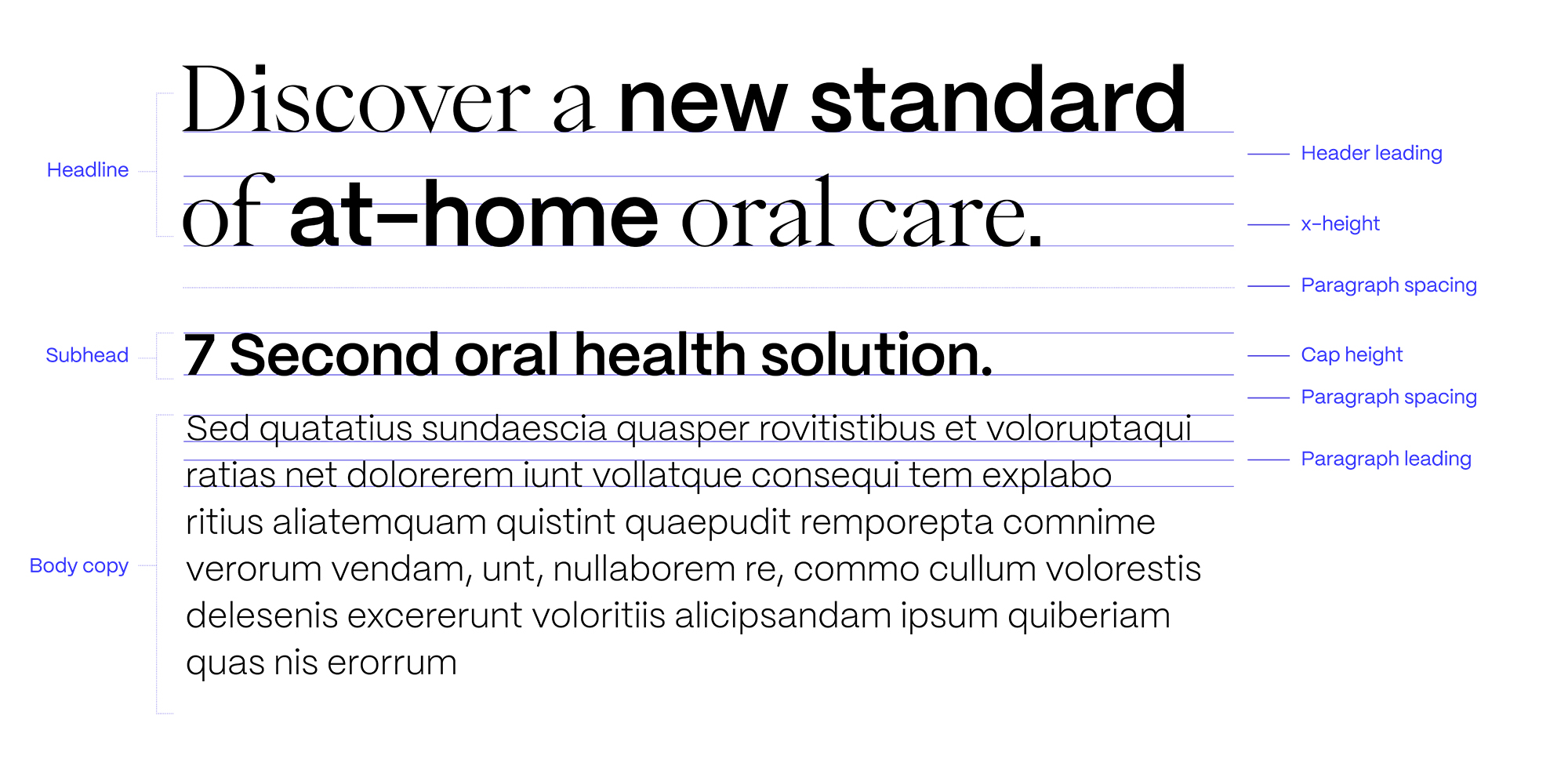 Fresh Health - brand identity, guideline and assets.