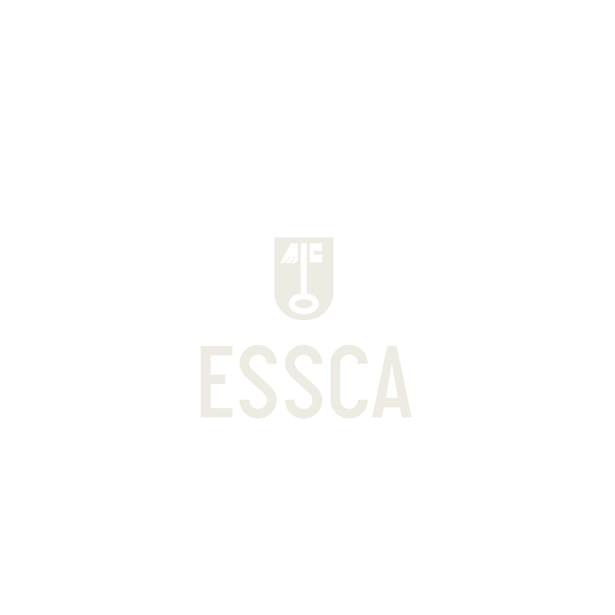 ESSCA - brand identity, guideline and assets.