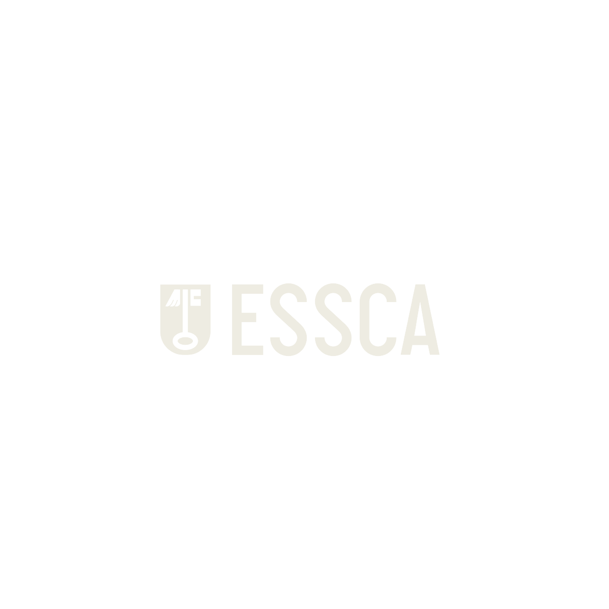 ESSCA - brand identity, guideline and assets.