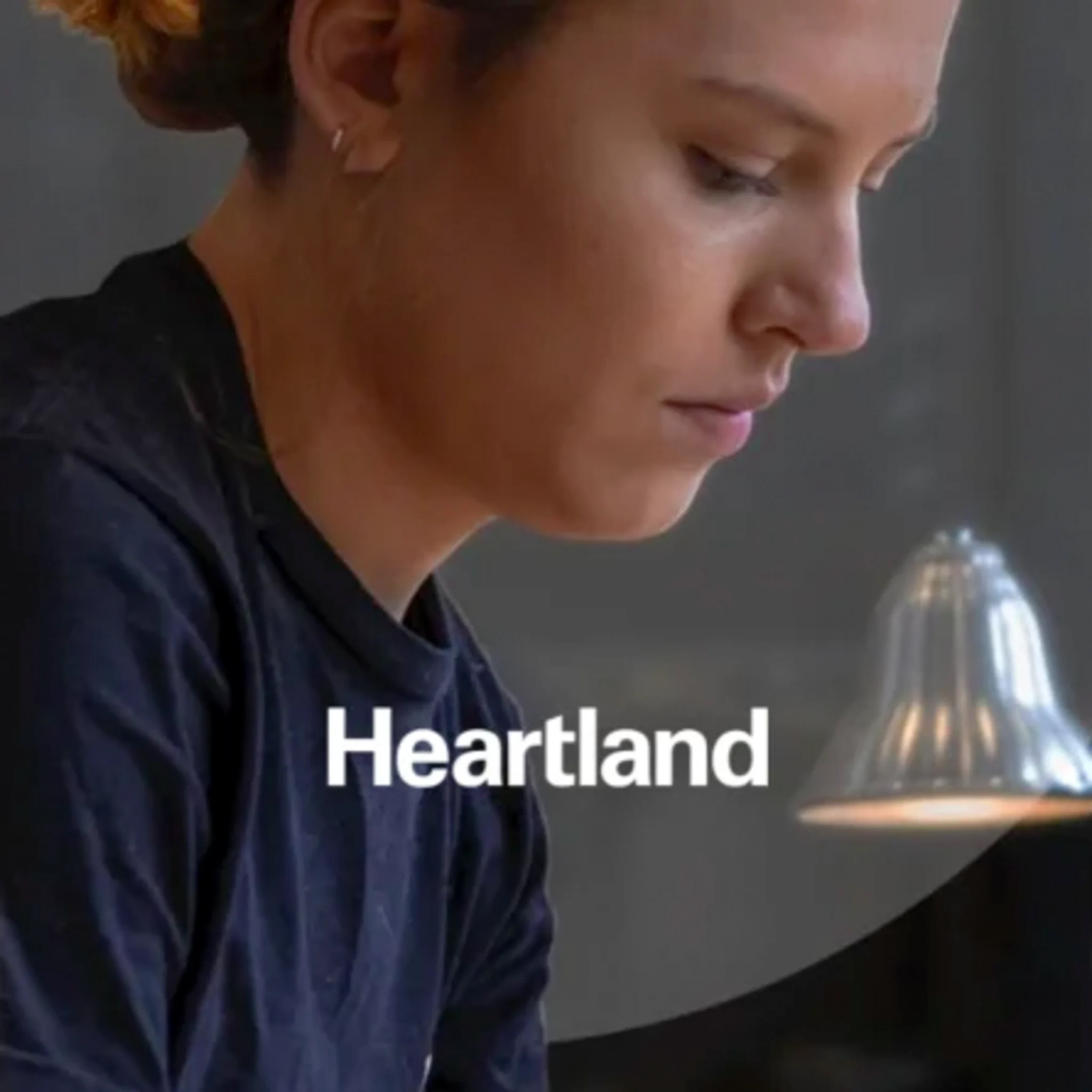 Heartland - brand identity, guideline and assets.