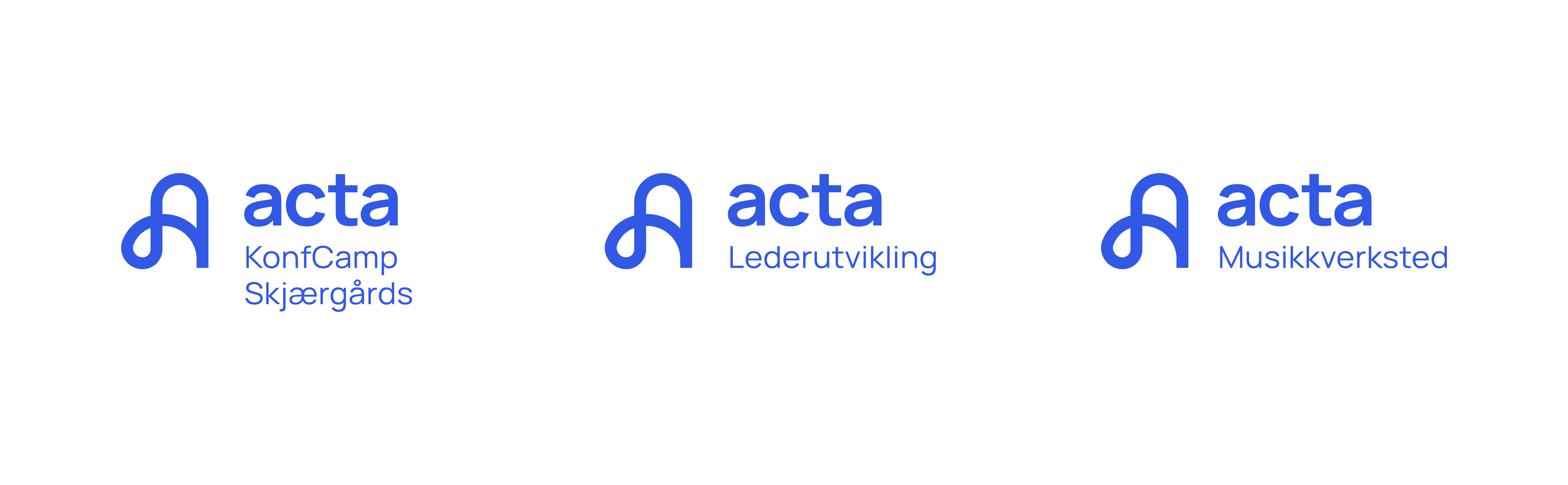 Acta - brand identity, guideline and assets.