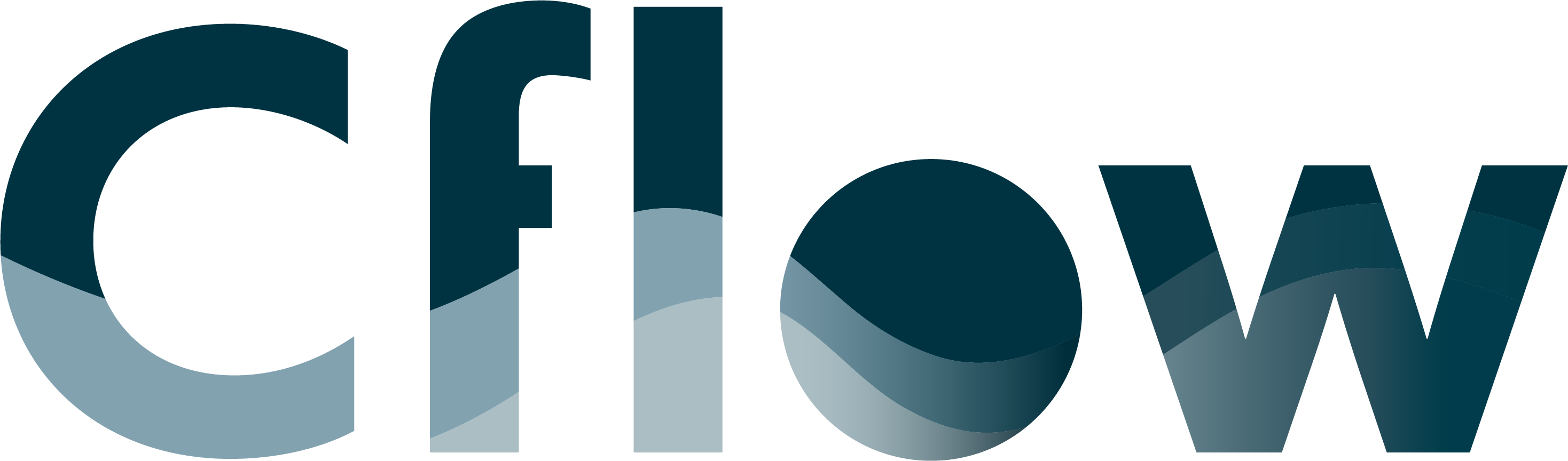 Cflow - brand identity, guideline and assets.