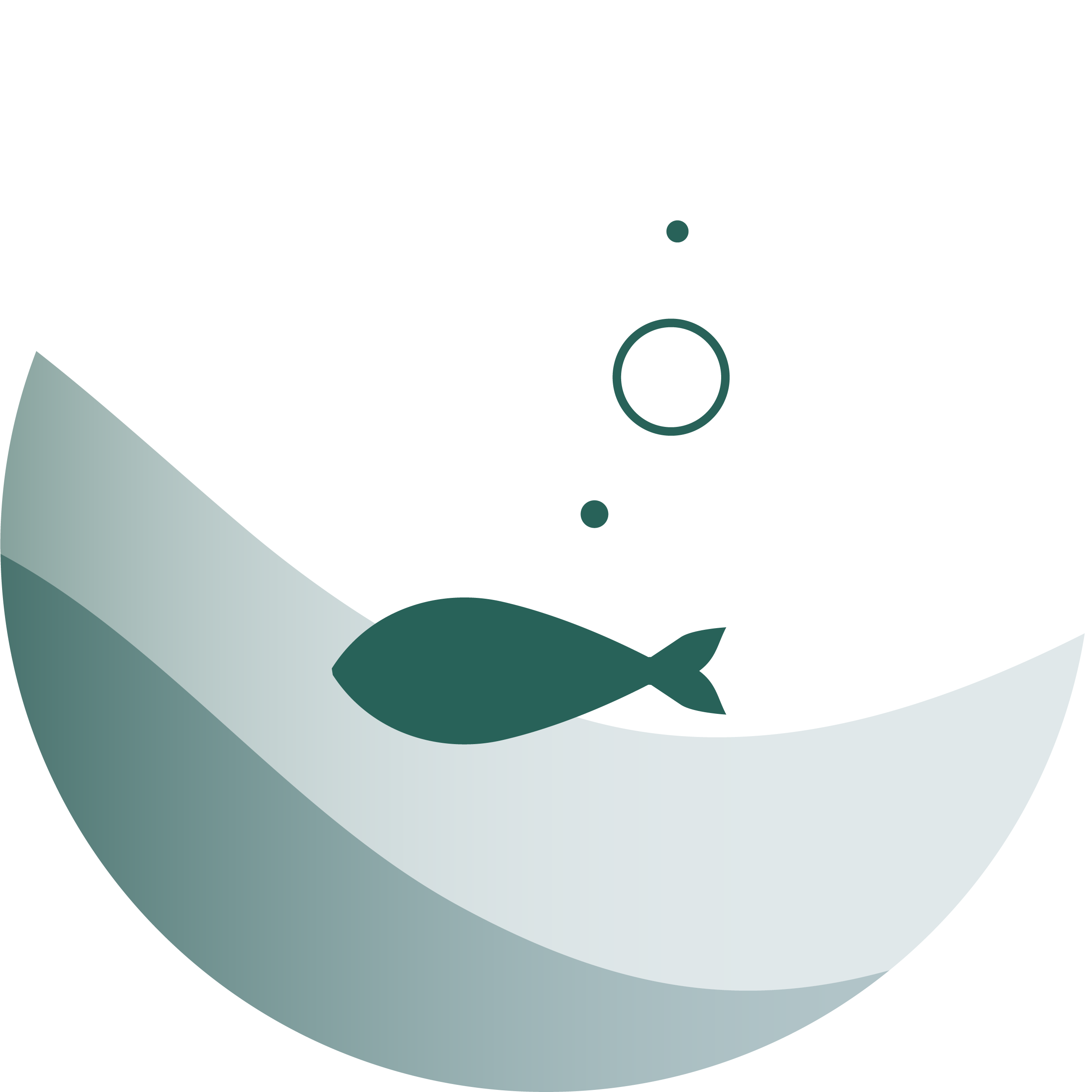 Cflow - brand identity, guideline and assets.