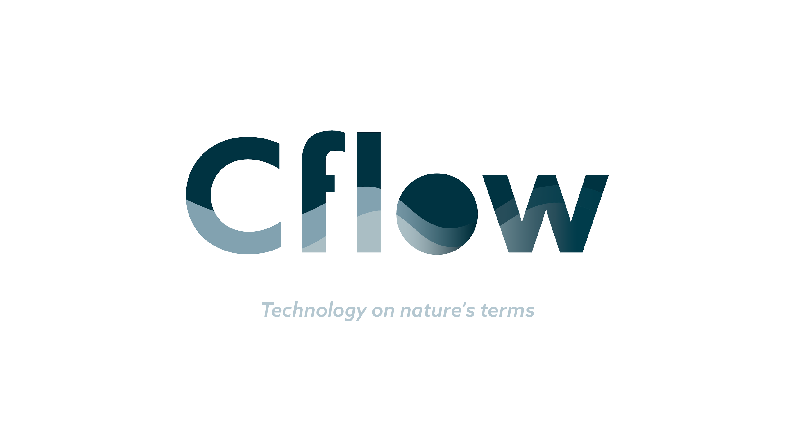 Cflow - brand identity, guideline and assets.