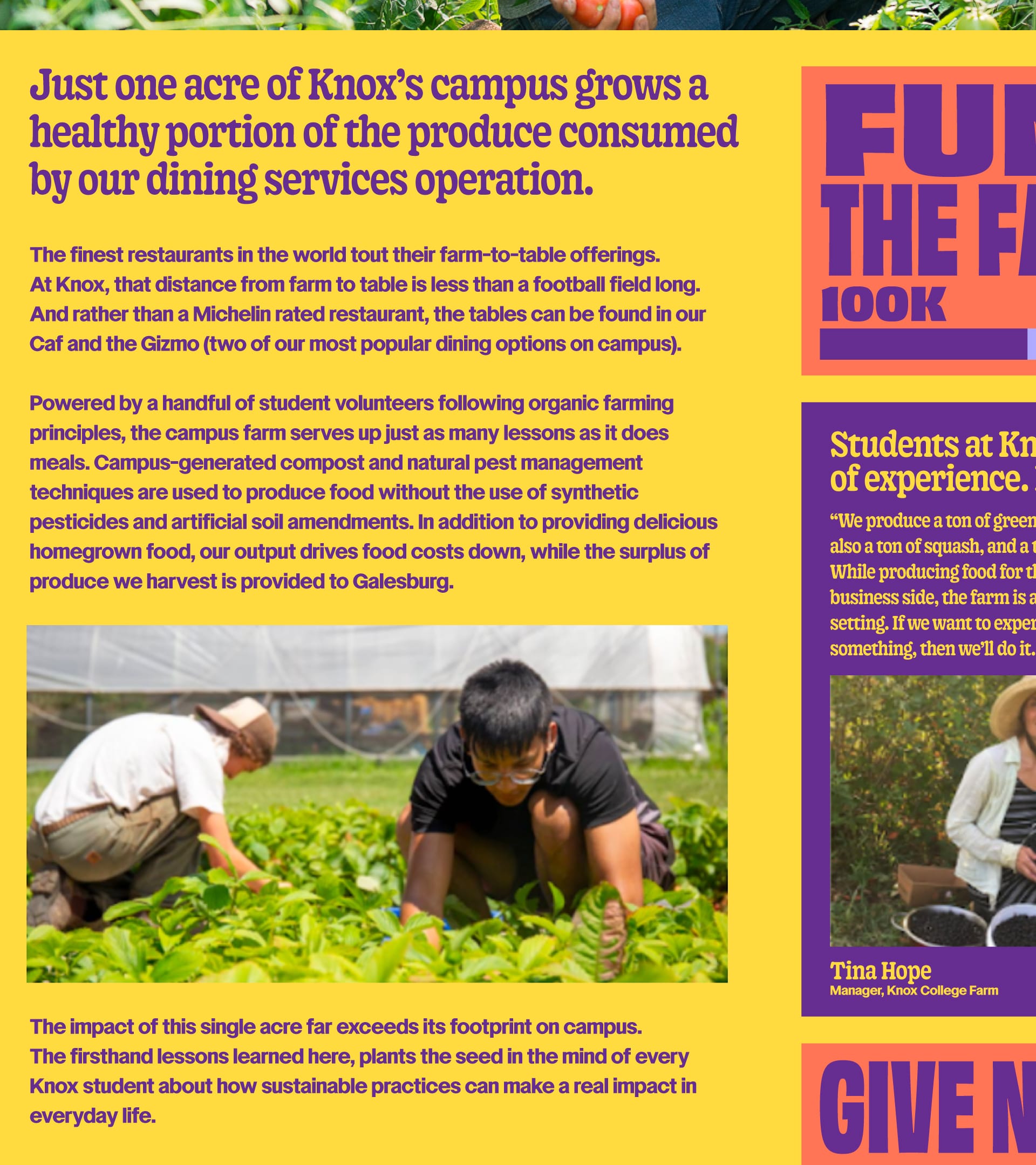Knox College - brand identity, guideline and assets.