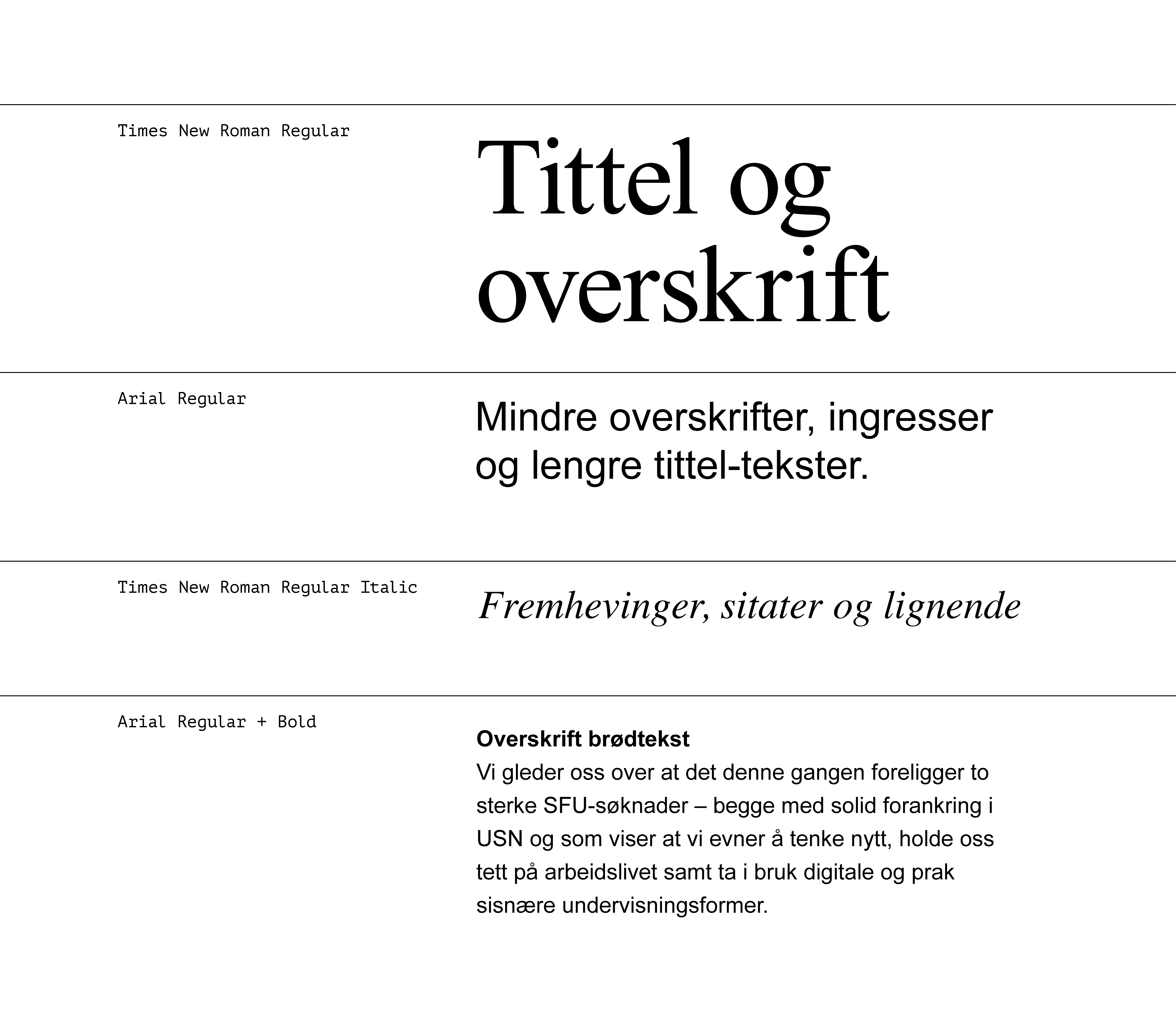 USN - brand identity, guideline and assets.