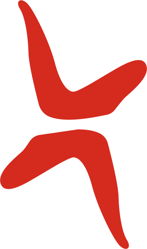 Niso - brand identity, guideline and assets.