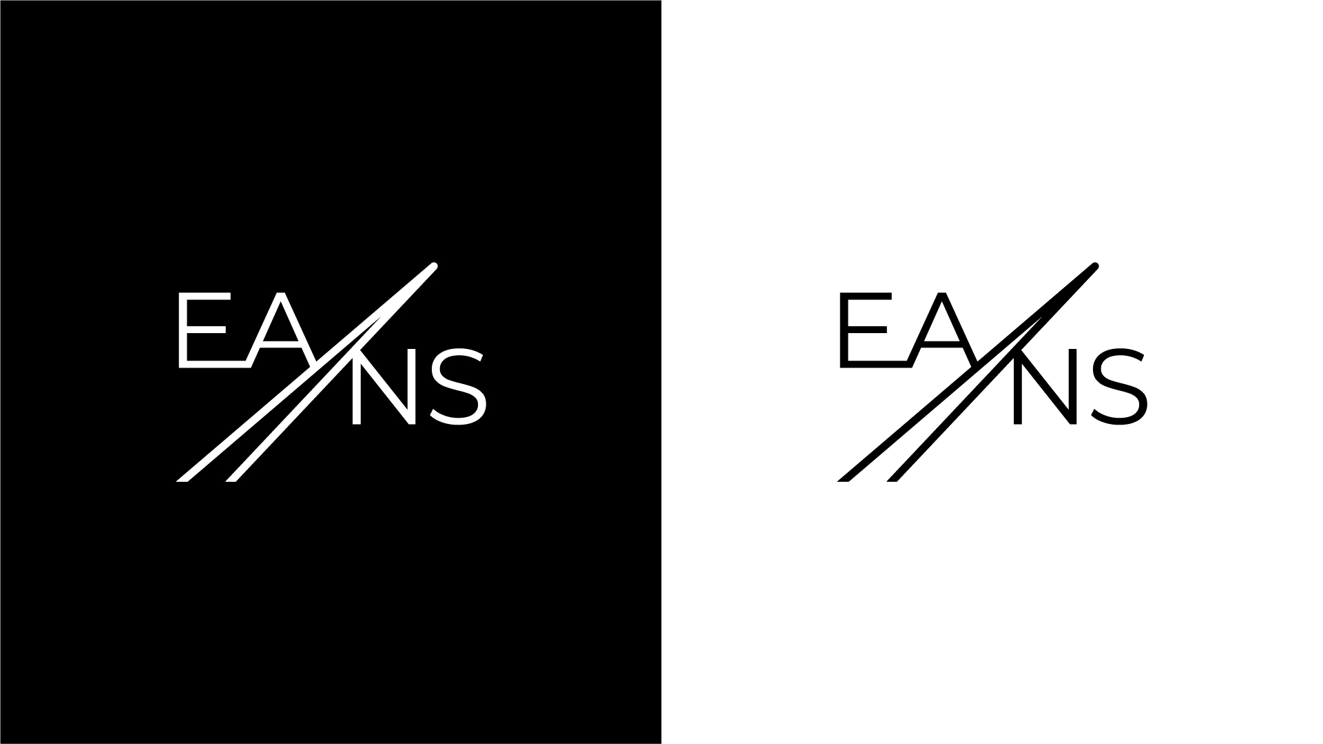 EANS - brand identity, guideline and assets.