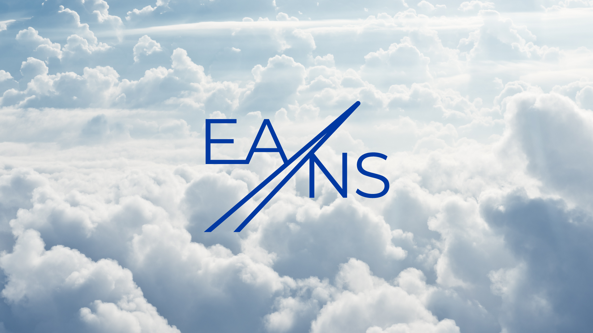 EANS - brand identity, guideline and assets.