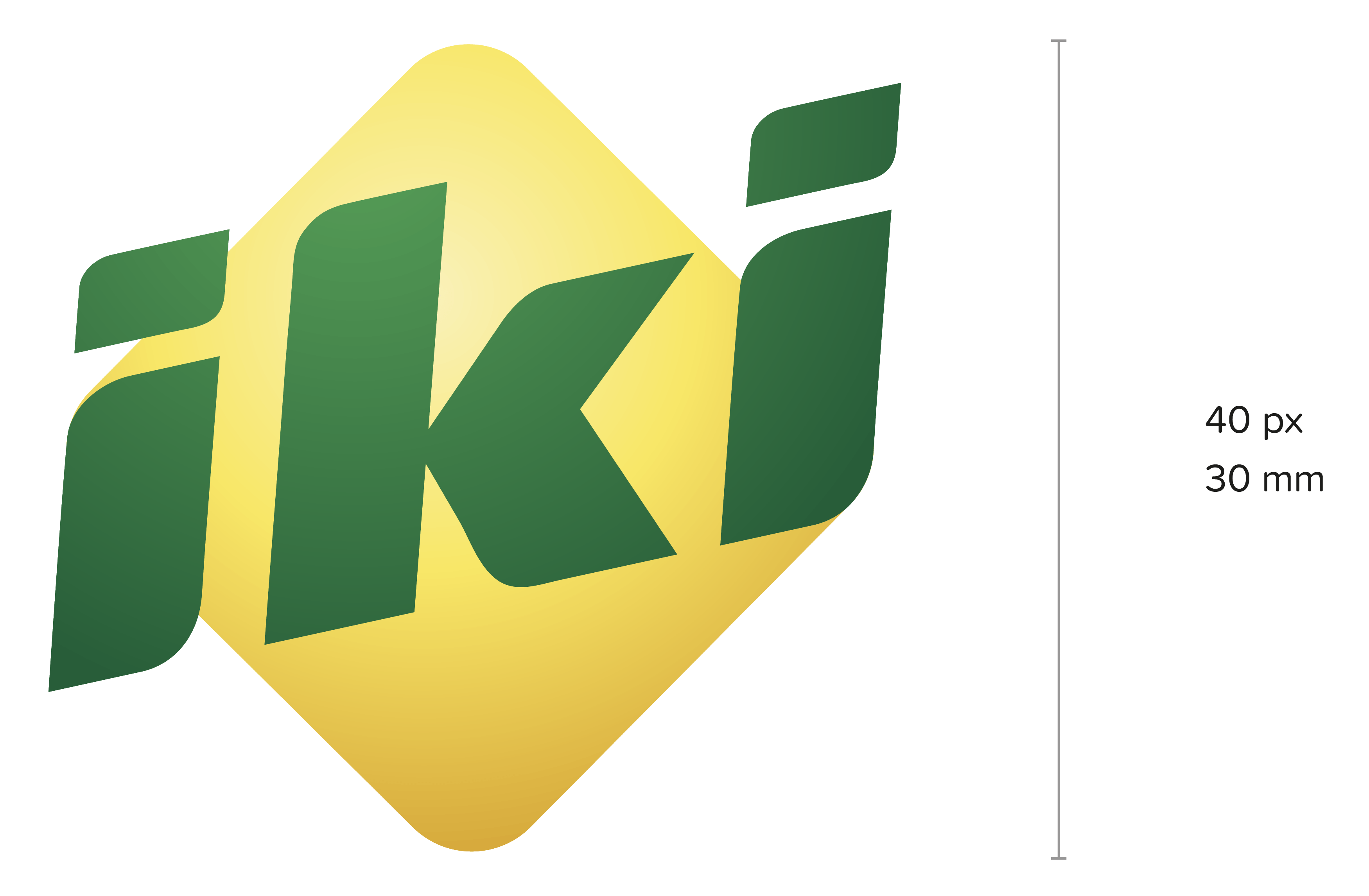 IKI LIETUVA - brand identity, guideline and assets.