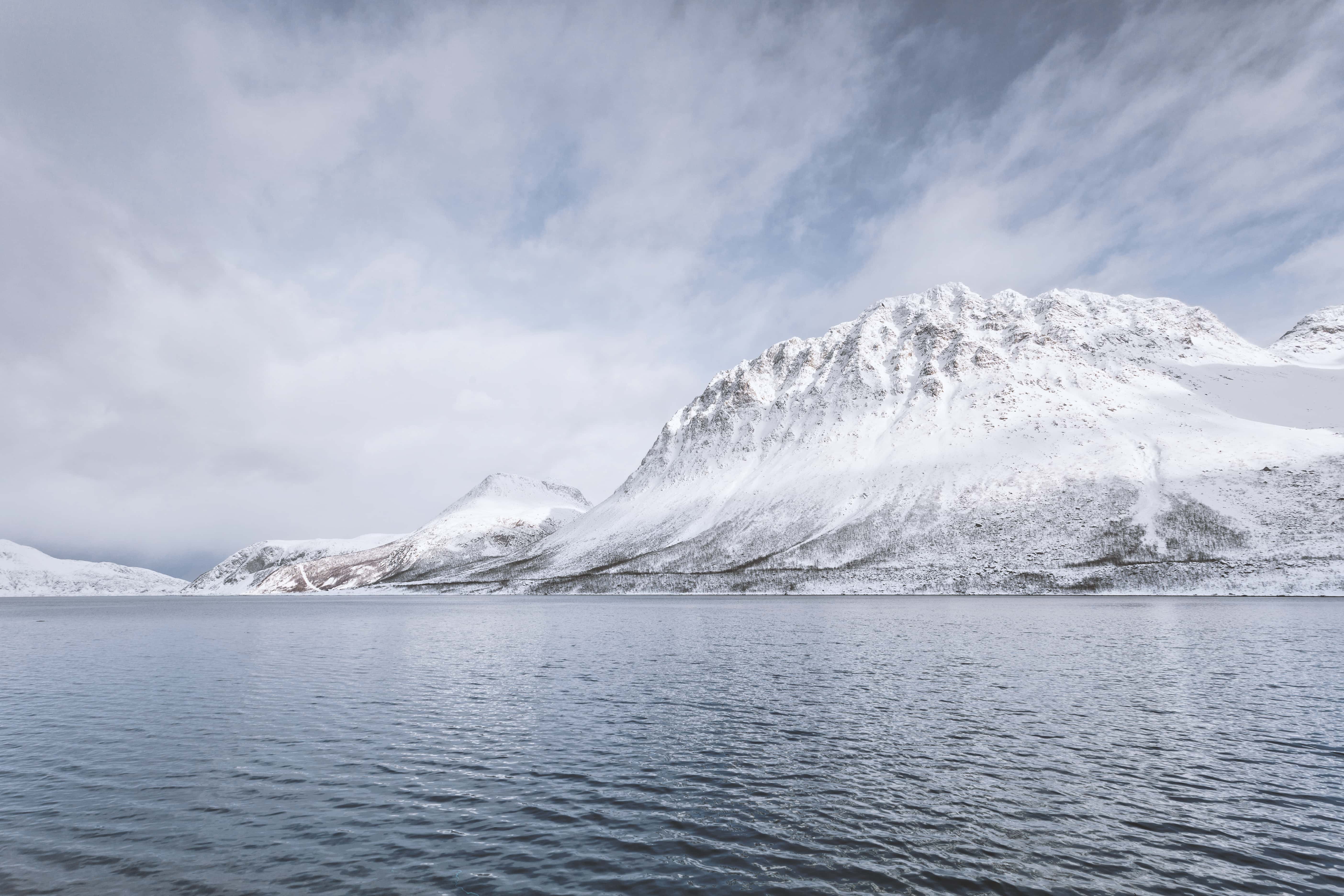 NOR Offshore Rental - brand identity, guideline and assets.