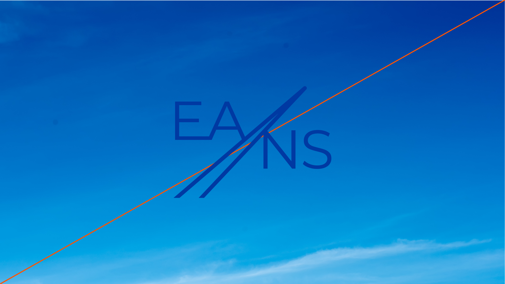 EANS - brand identity, guideline and assets.