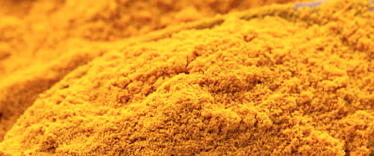 NovaTaste Brand Guidelines